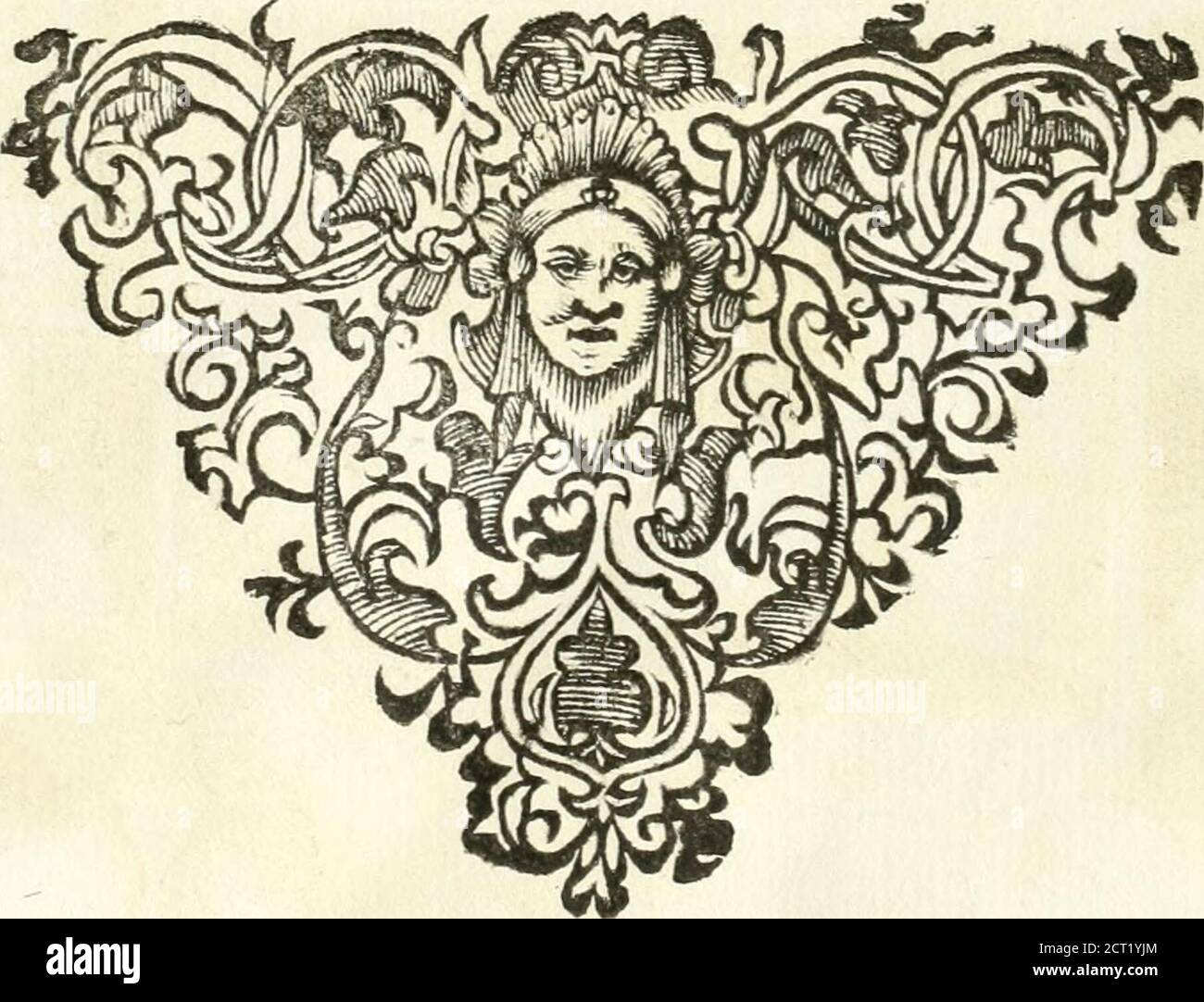 Emblema v hi-res stock photography and images - Alamy