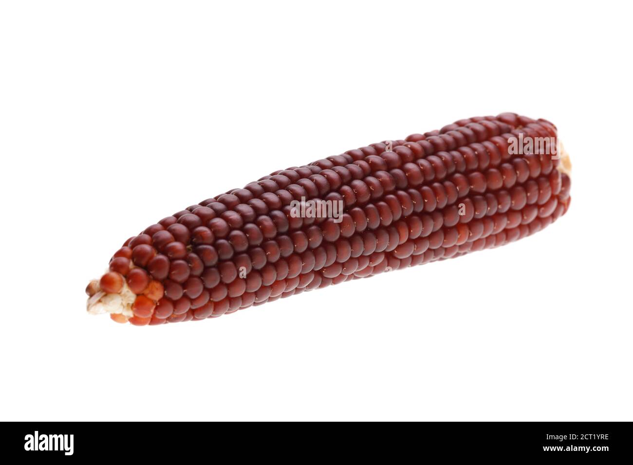 purple corn isolated on a white background Stock Photo - Alamy
