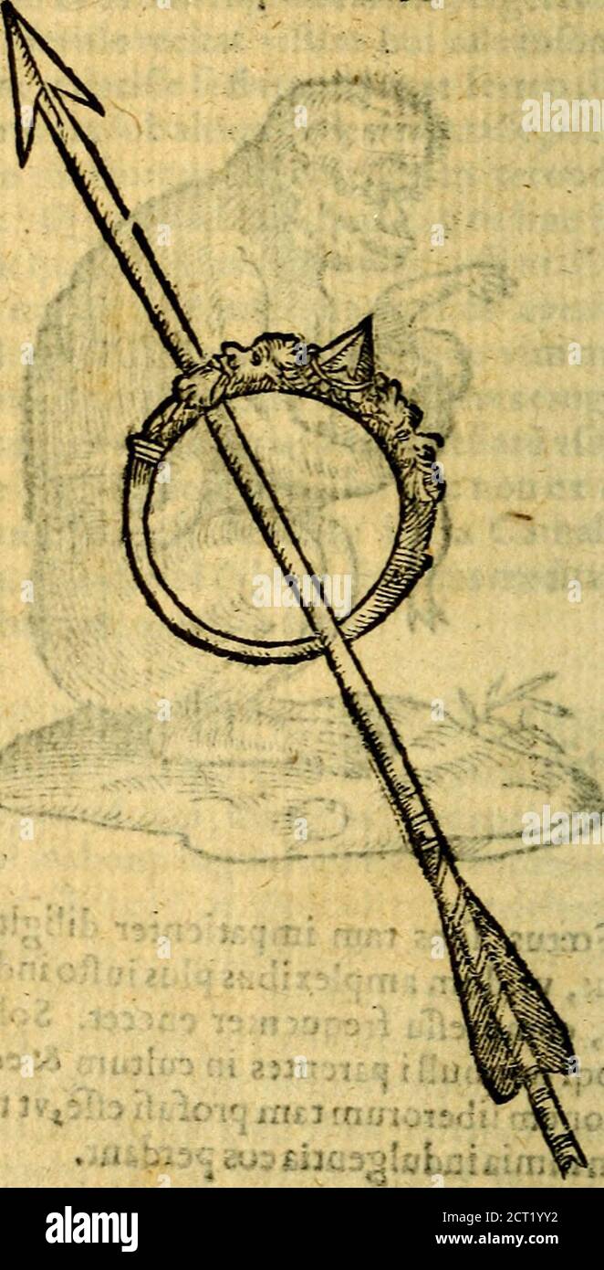 Ladam hi-res stock photography and images - Alamy