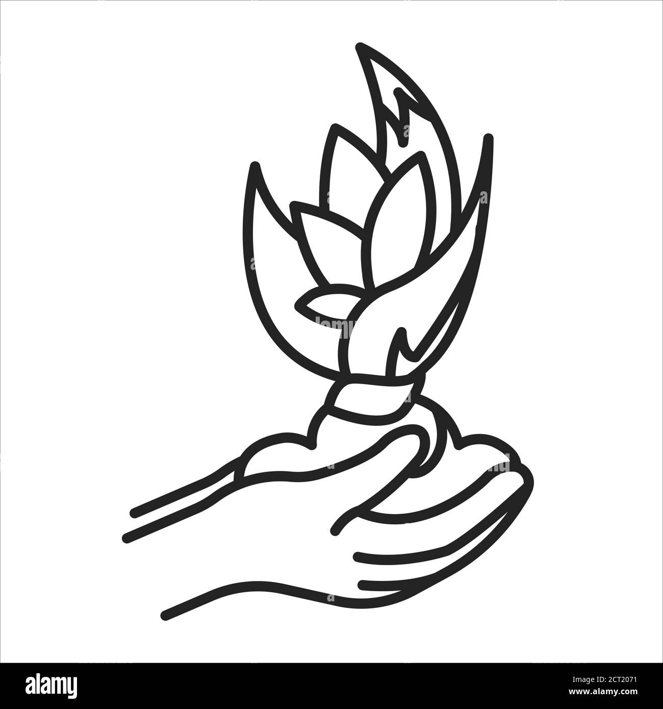 Plant Care Black Line Icon Complex Of Care Procedures For Plant plant-care-black-line-icon-complex-of-care-procedures-for-plant