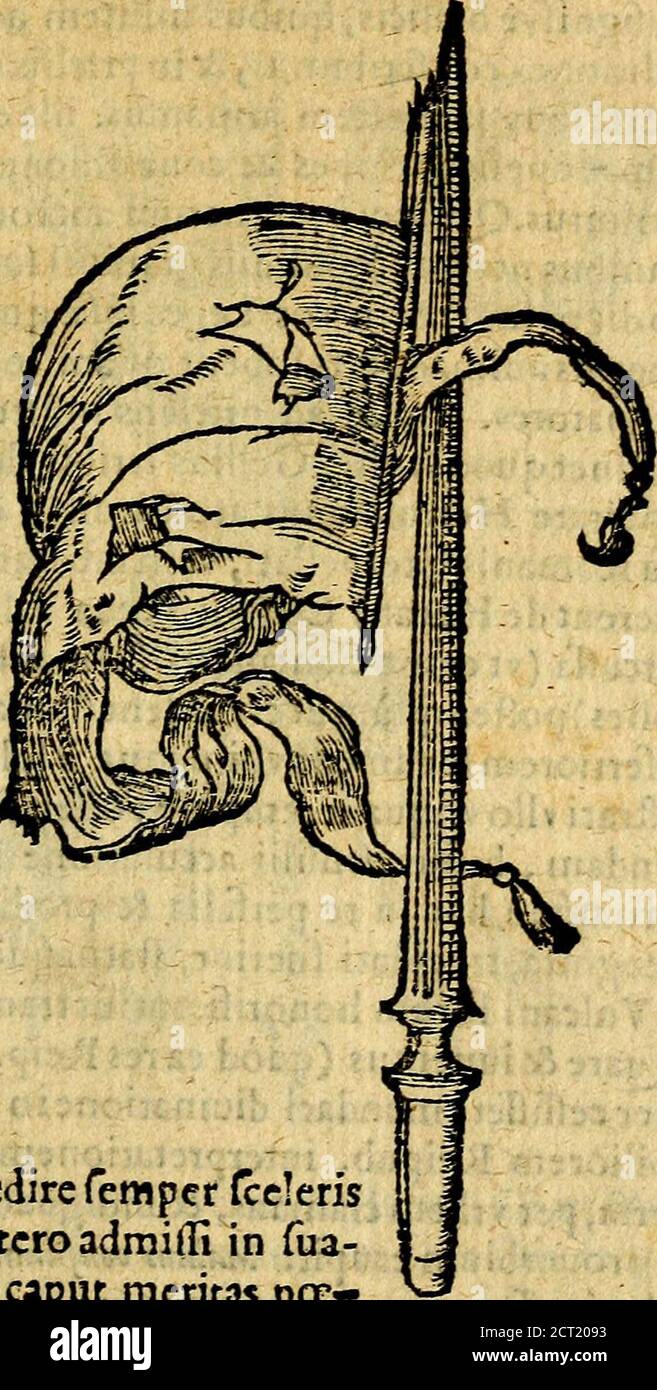 Baculi hi-res stock photography and images - Alamy