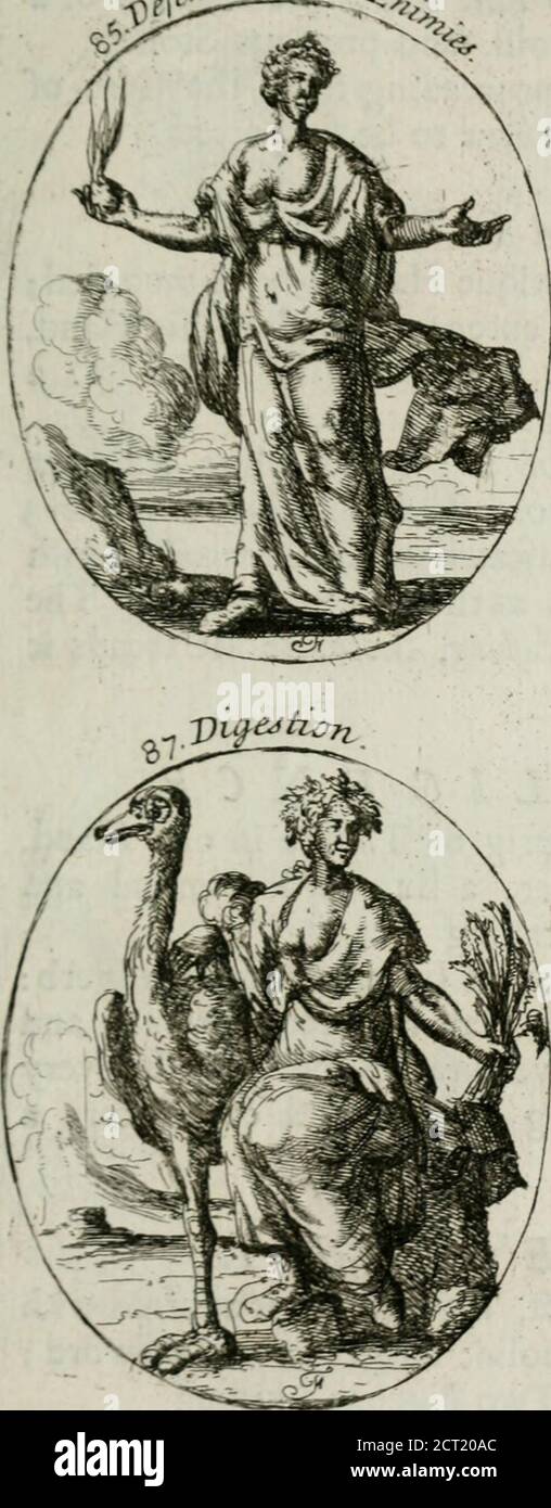 Detraction hi-res stock photography and images - Alamy