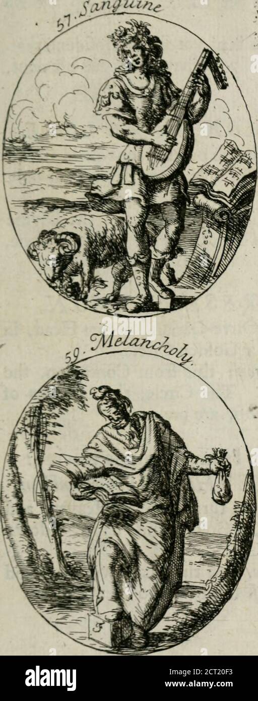 Lion cube hi-res stock photography and images - Alamy