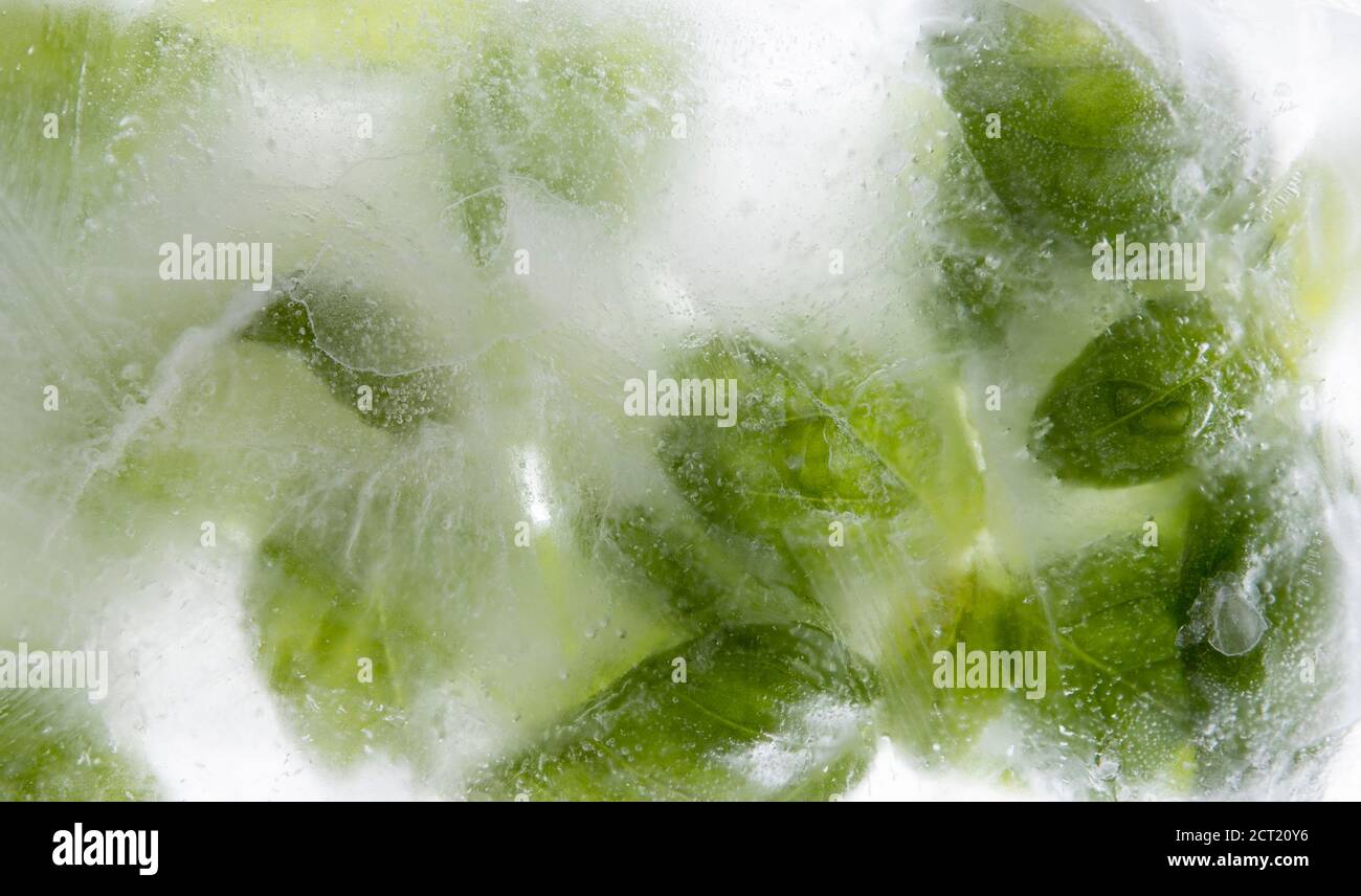 Basil leaves in ice hi-res stock photography and images - Alamy