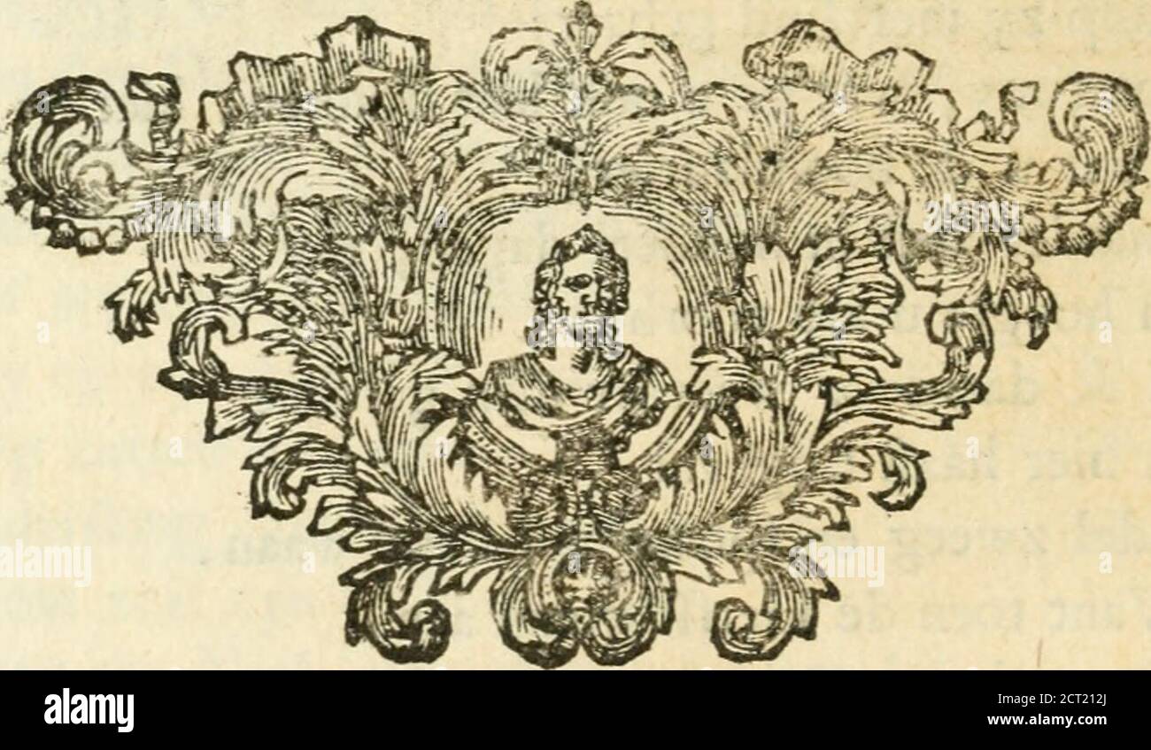 Dadel boom hi-res stock photography and images - Alamy