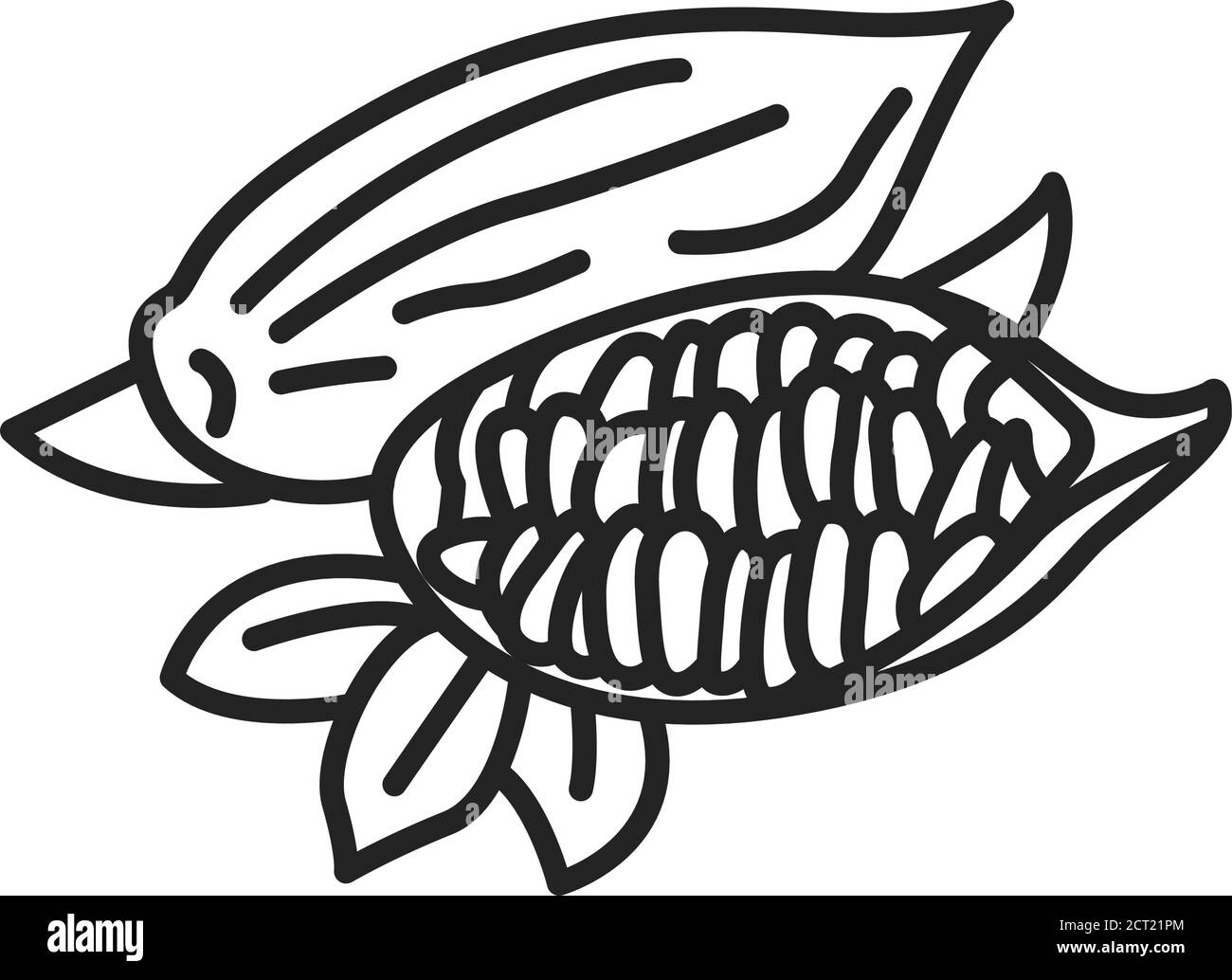 Cacao pod black line icon. Raw product. Used to make chocolate and ...