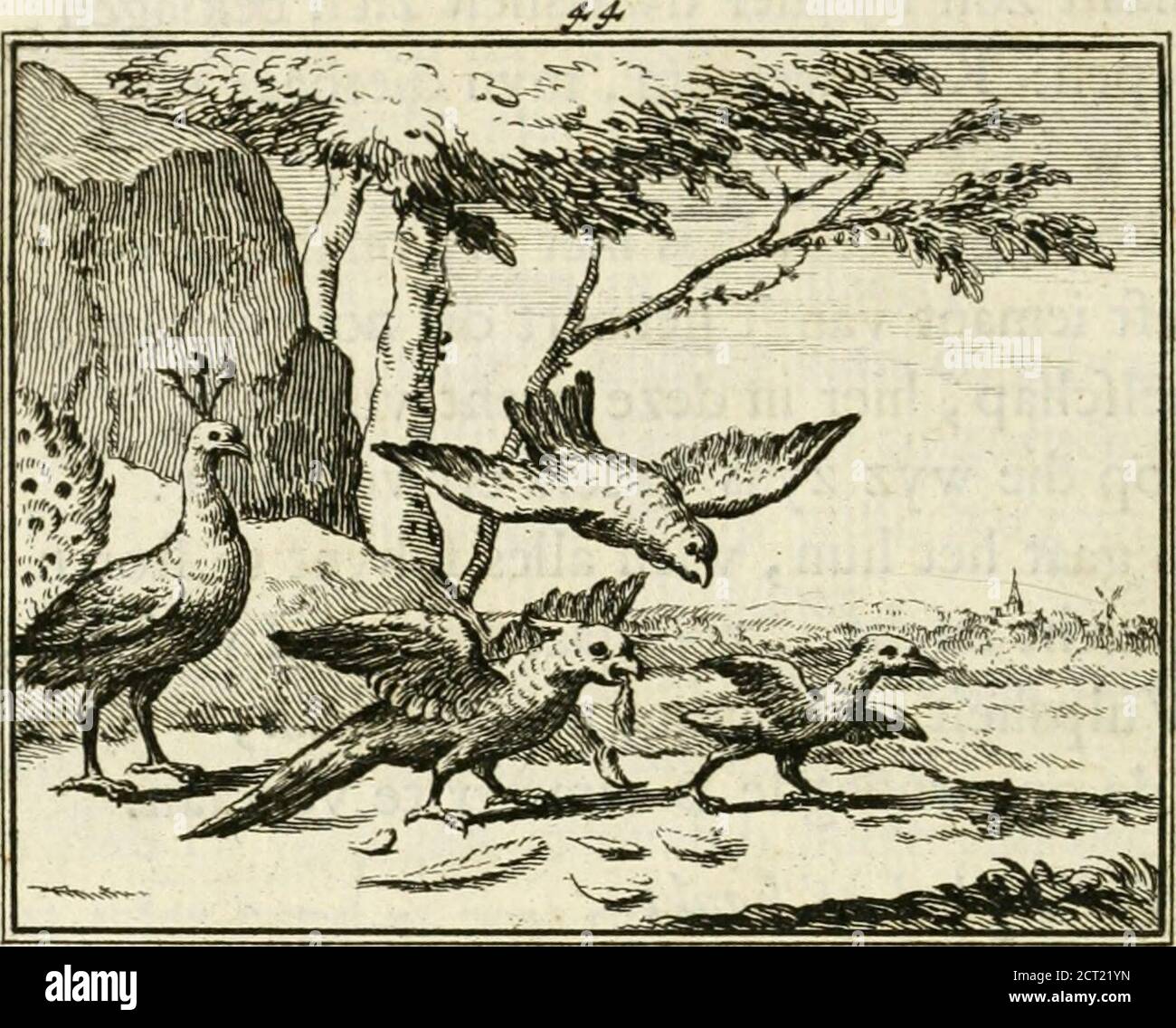 Uitgerold hi-res stock photography and images - Alamy