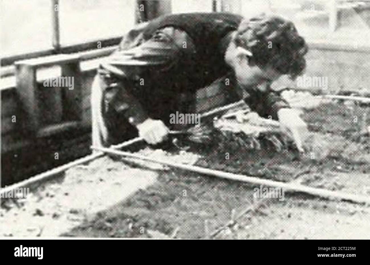 Nelson chequer hi-res stock photography and images - Alamy