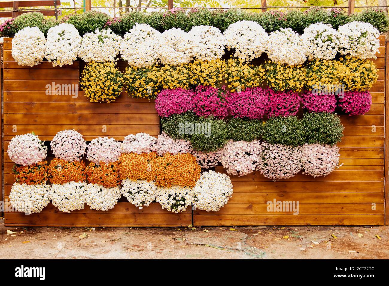 Photozone hi-res stock photography and images - Alamy