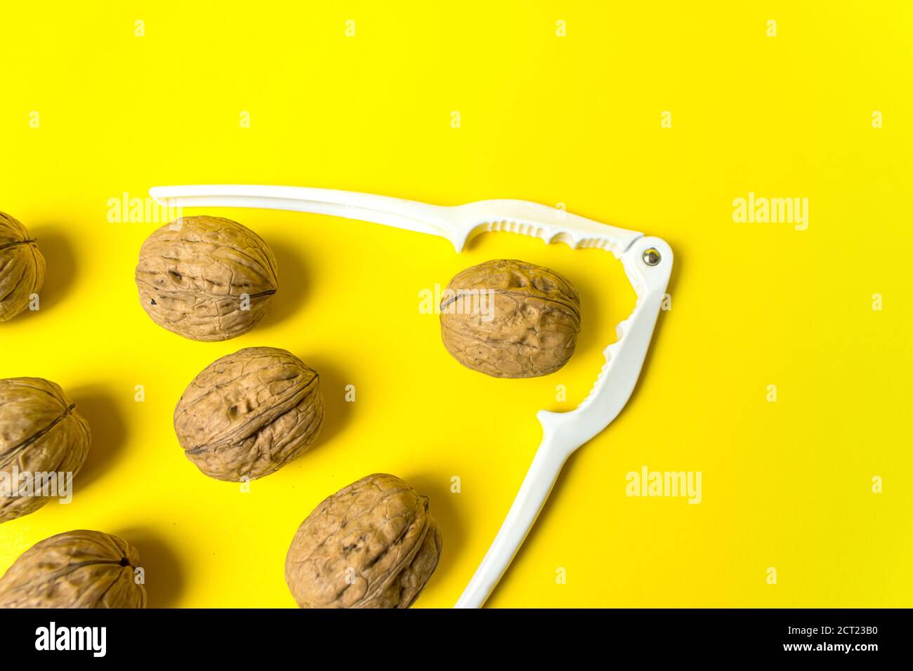 One peeled walnut among a group of ordinary nuts. Leader, individuality ...