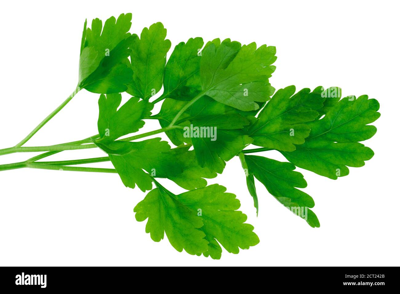 Top view portion assorted Cut Out Stock Images & Pictures - Alamy