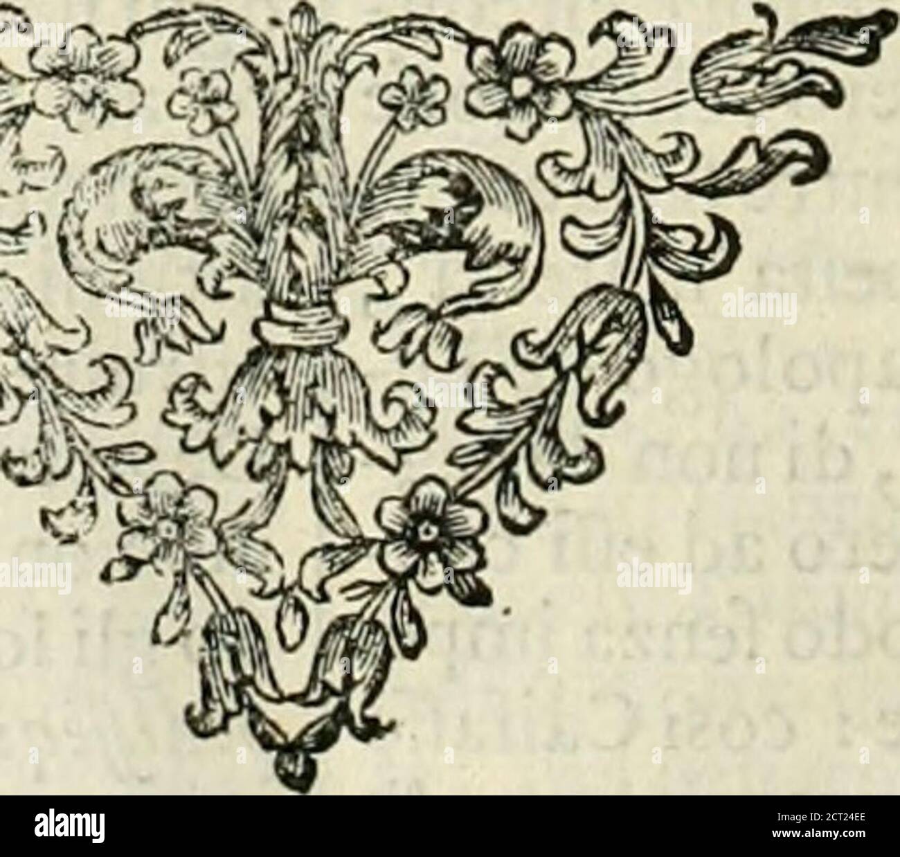 Simboli del leone hi-res stock photography and images - Alamy