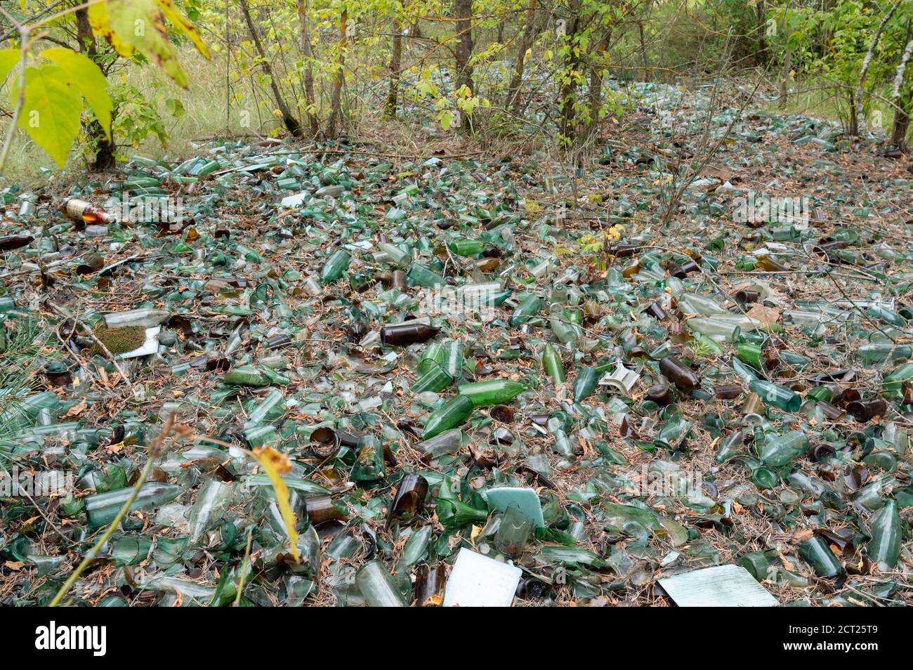 Lots of old broken bottles. A lot of broken glass. Waste bin made of ...