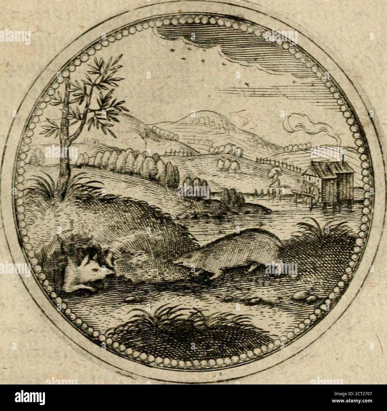 Contubernium hi-res stock photography and images - Alamy