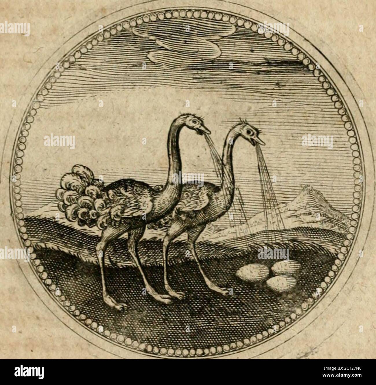 Inge dam hi-res stock photography and images - Alamy