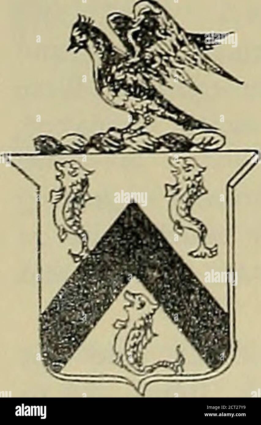 Falcon Coat Of Arms