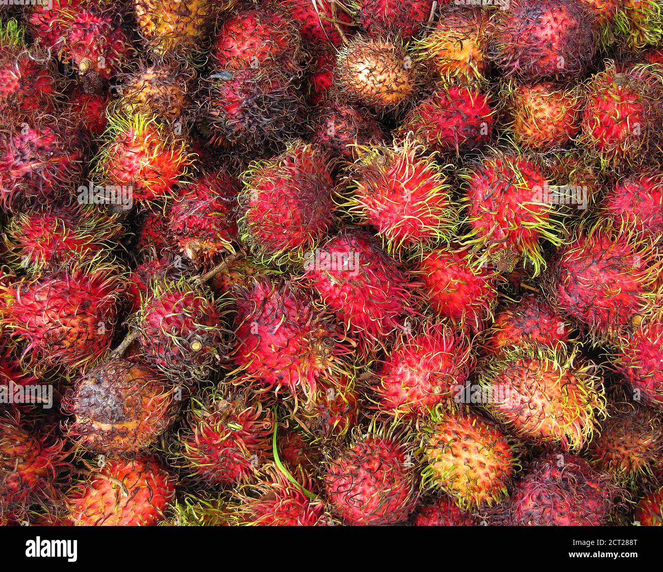 Rambutan in Penang, Malaysia market Stock Photo - Alamy
