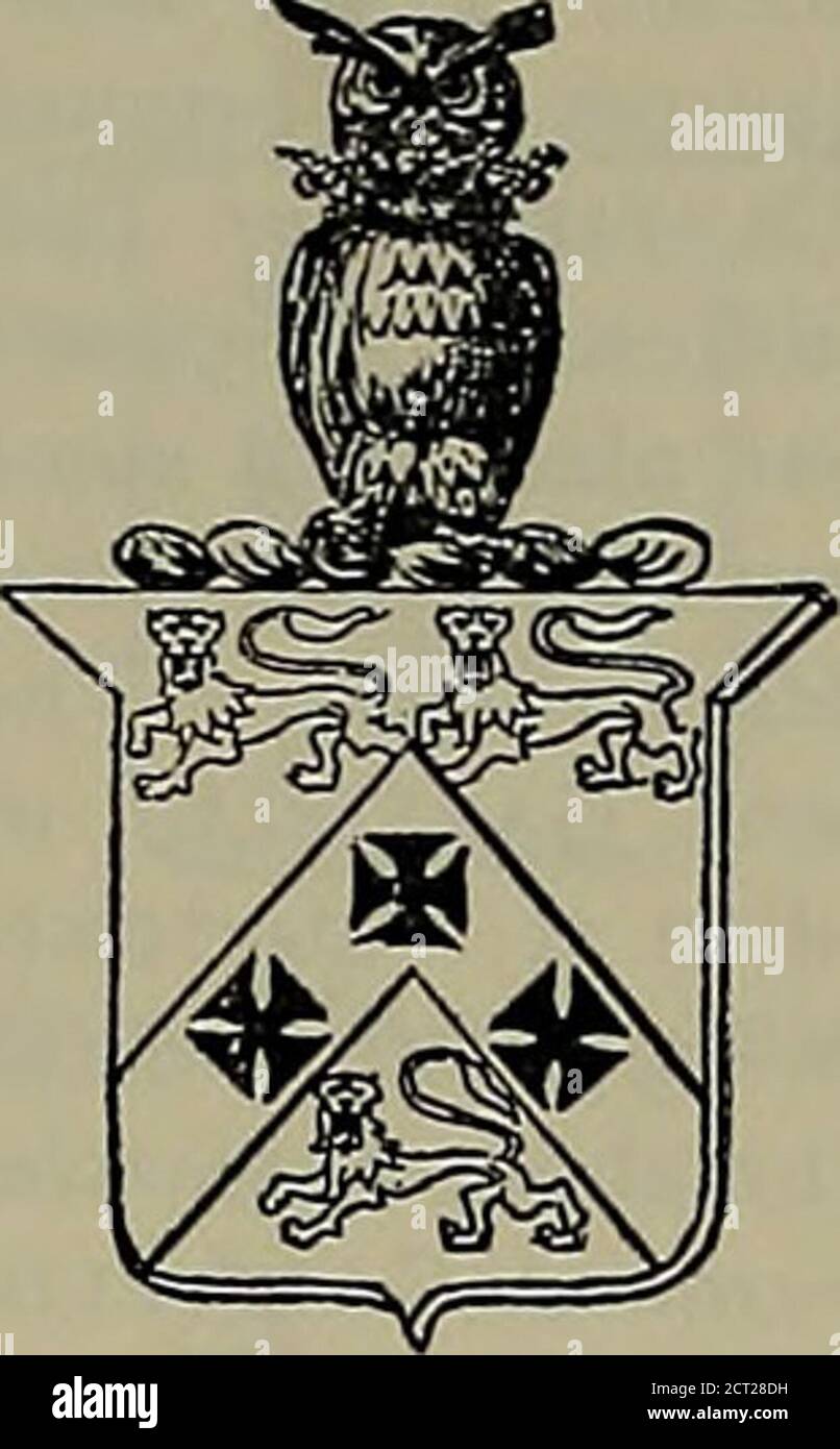 Crests on heads hi-res stock photography and images - Alamy