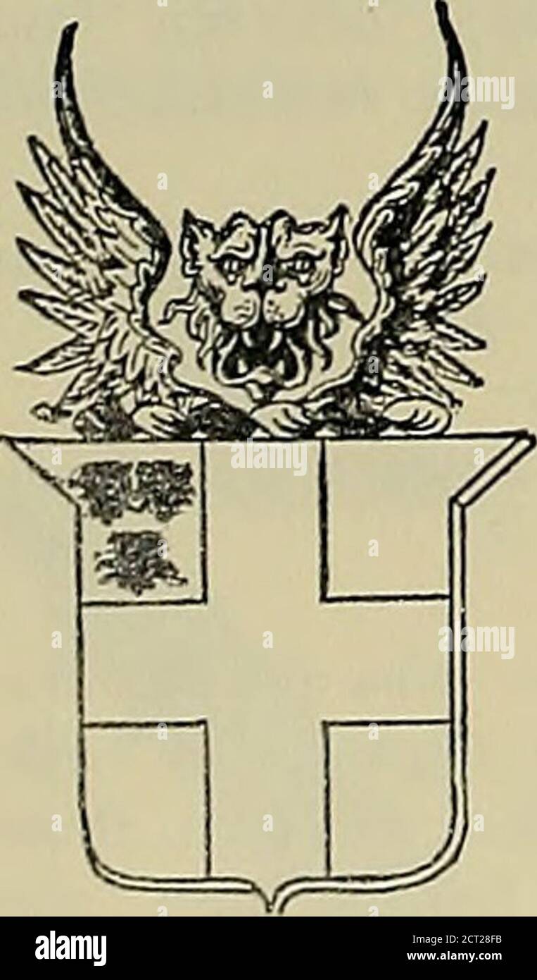 Caltrap hi-res stock photography and images - Alamy