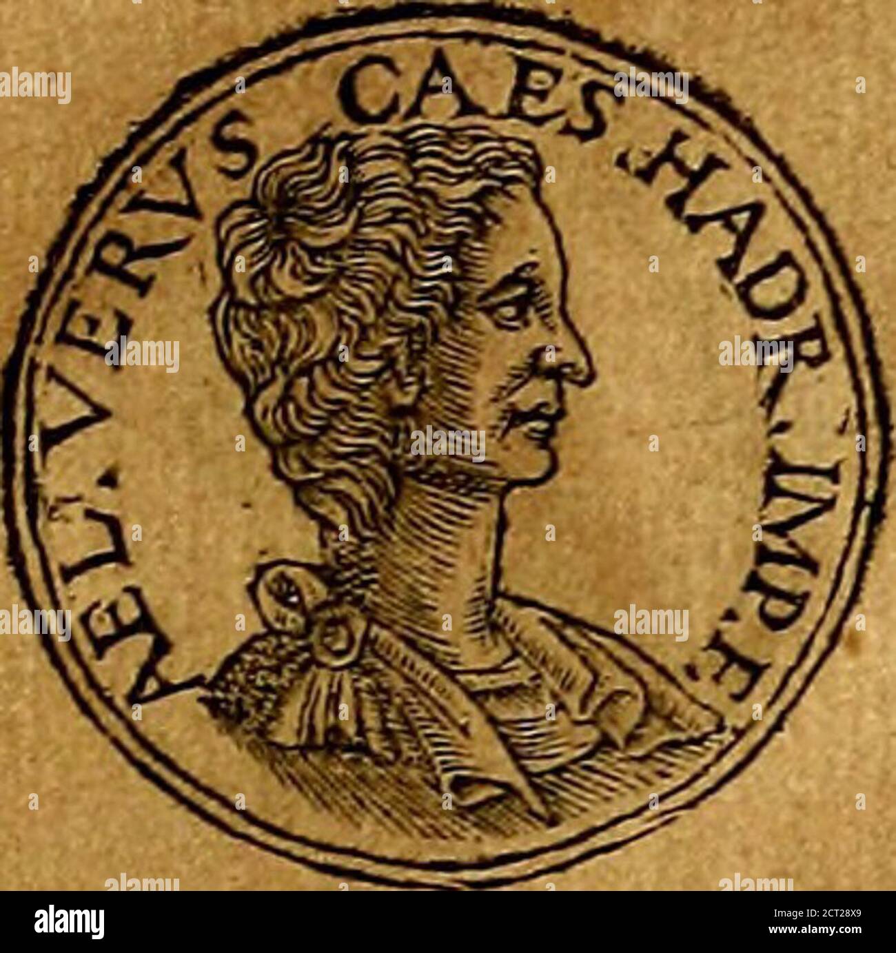 Marcomanni hi-res stock photography and images - Alamy