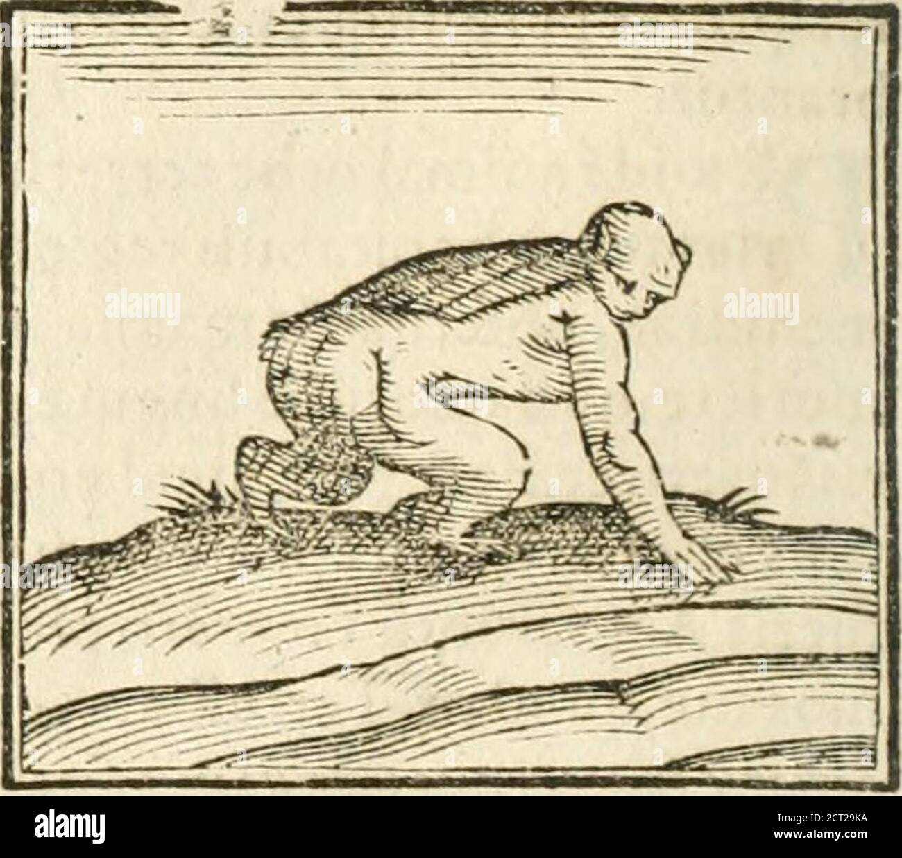 Dubio hi-res stock photography and images - Alamy