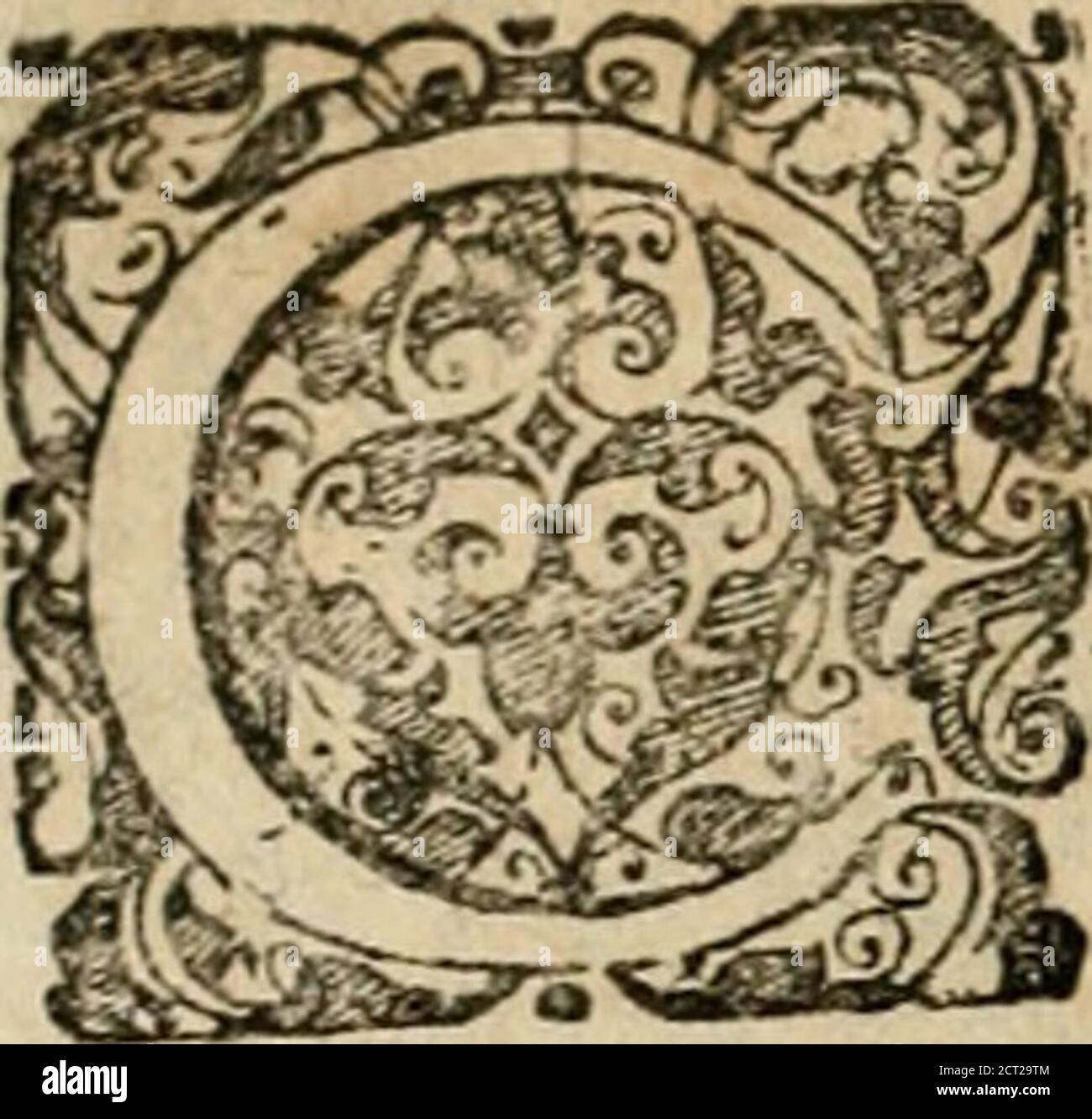 Catulus n hi-res stock photography and images - Alamy