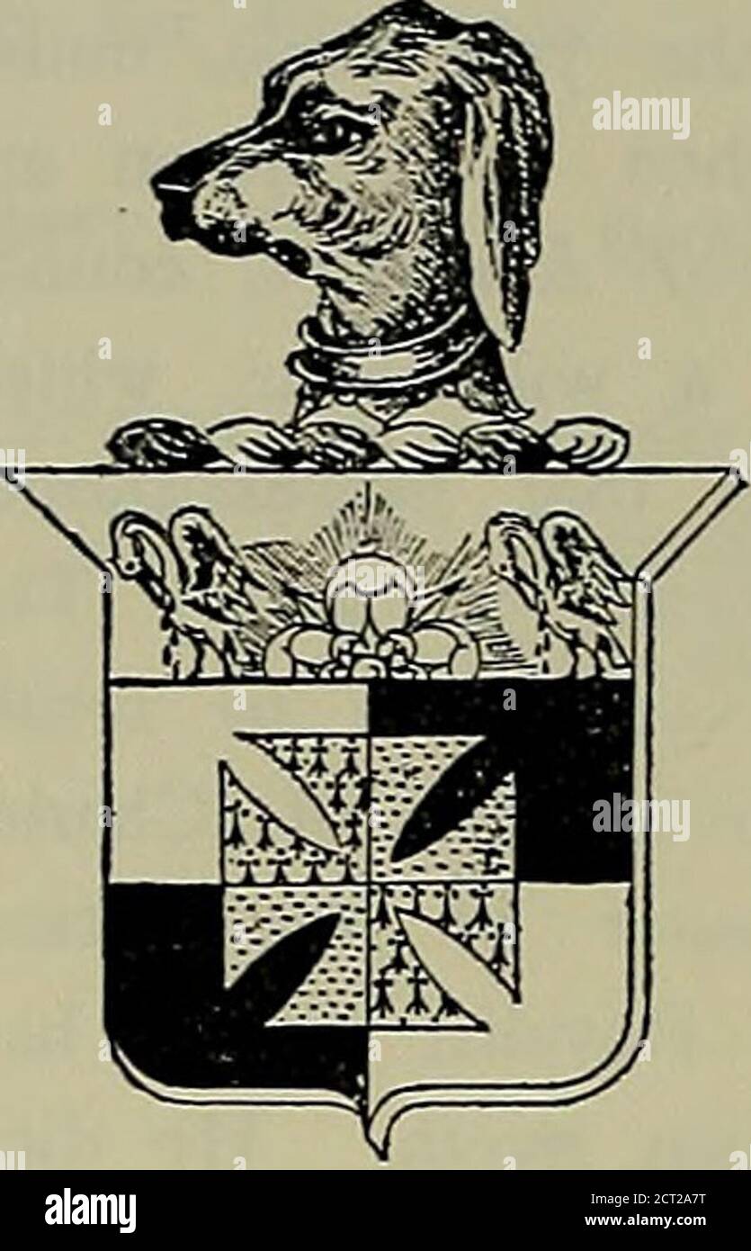 Prominent crest on head hi-res stock photography and images - Alamy