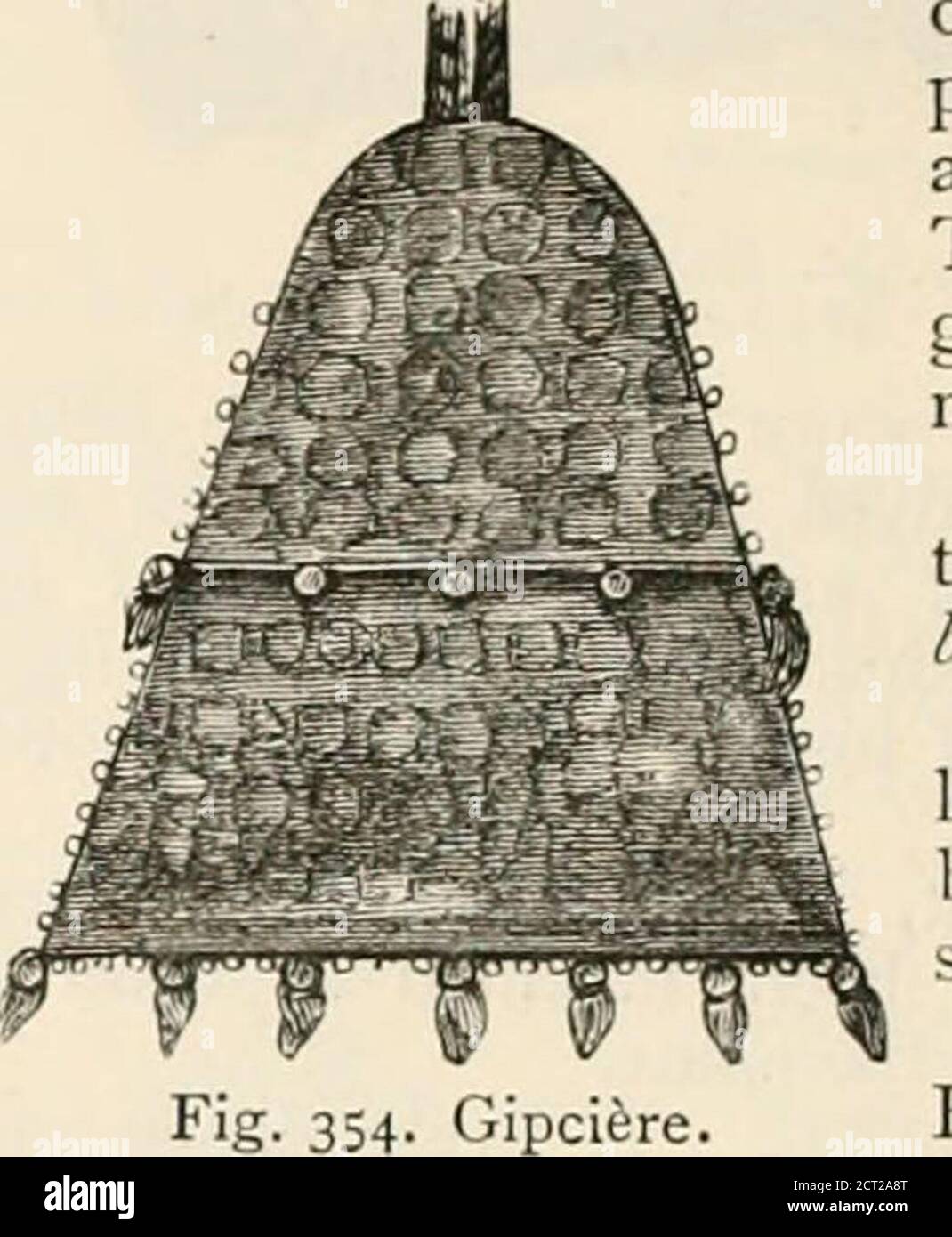 Ginglymus hi-res stock photography and images - Alamy