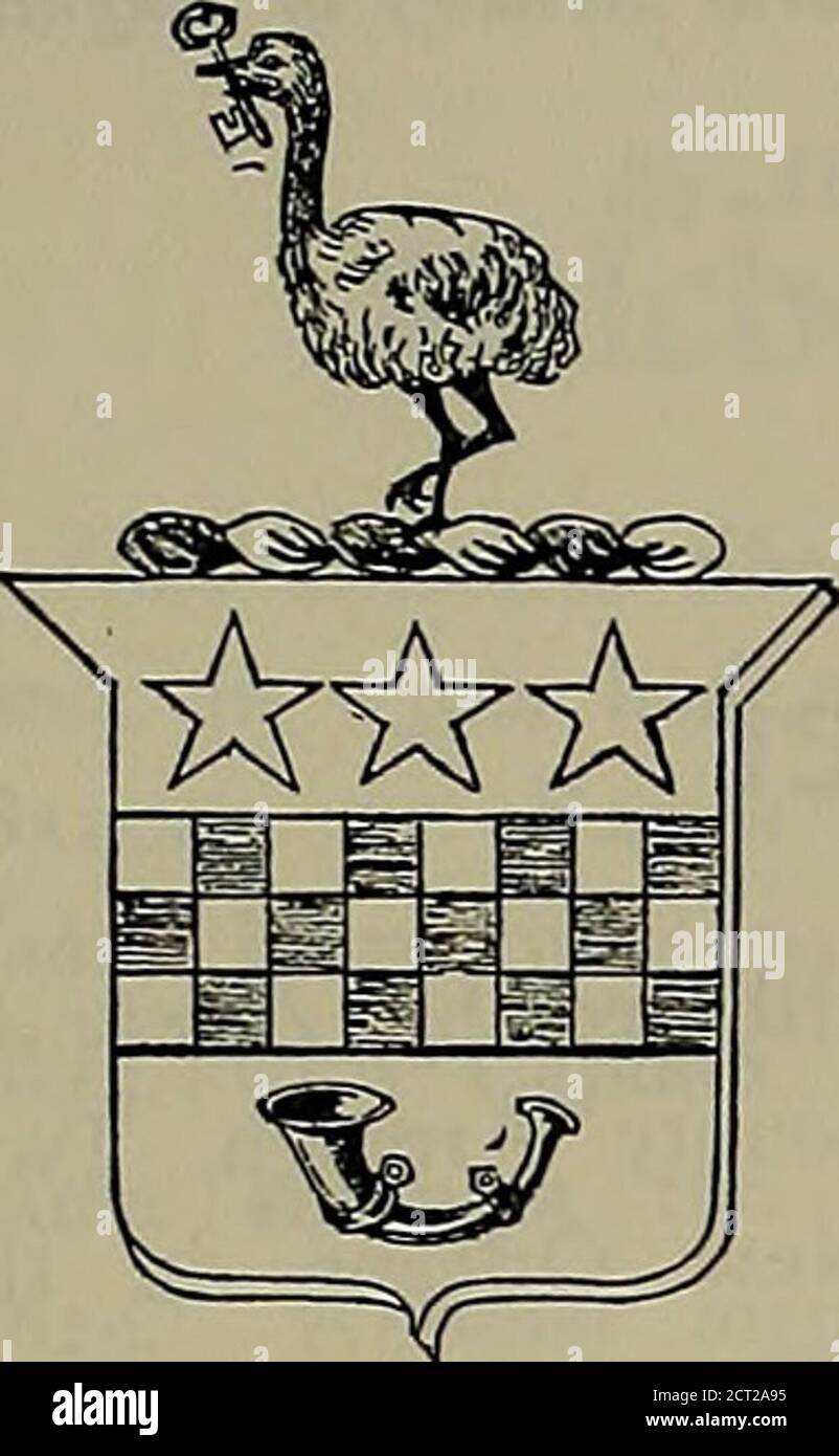 Falcon Coat Of Arms
