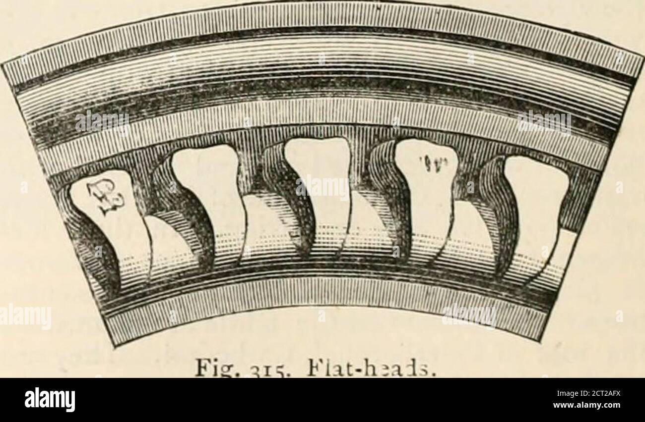 Byzantine heraldry hi-res stock photography and images - Alamy