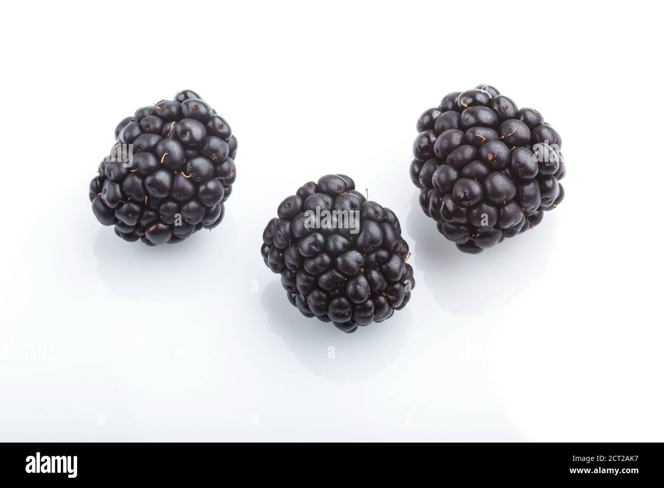 Three ripe dewberry isolated on white background. side view, close up ...