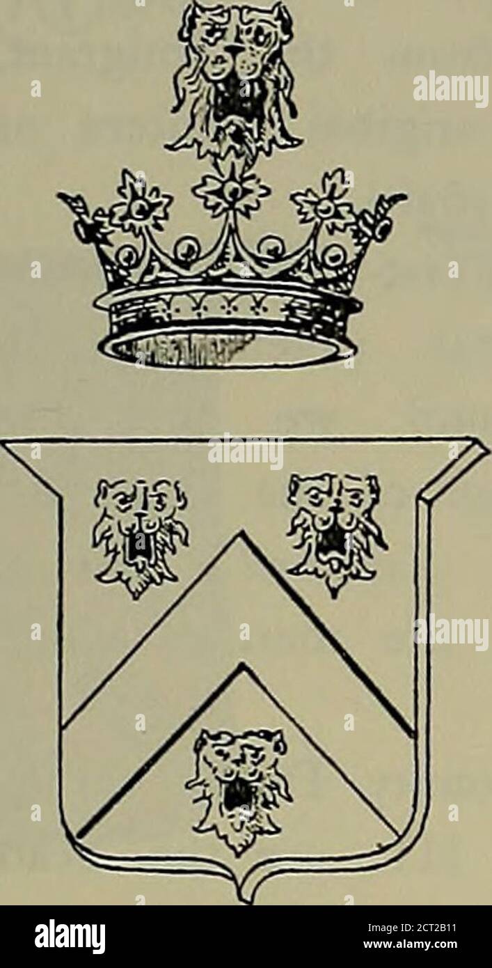 Male has prominent crest hi-res stock photography and images - Alamy