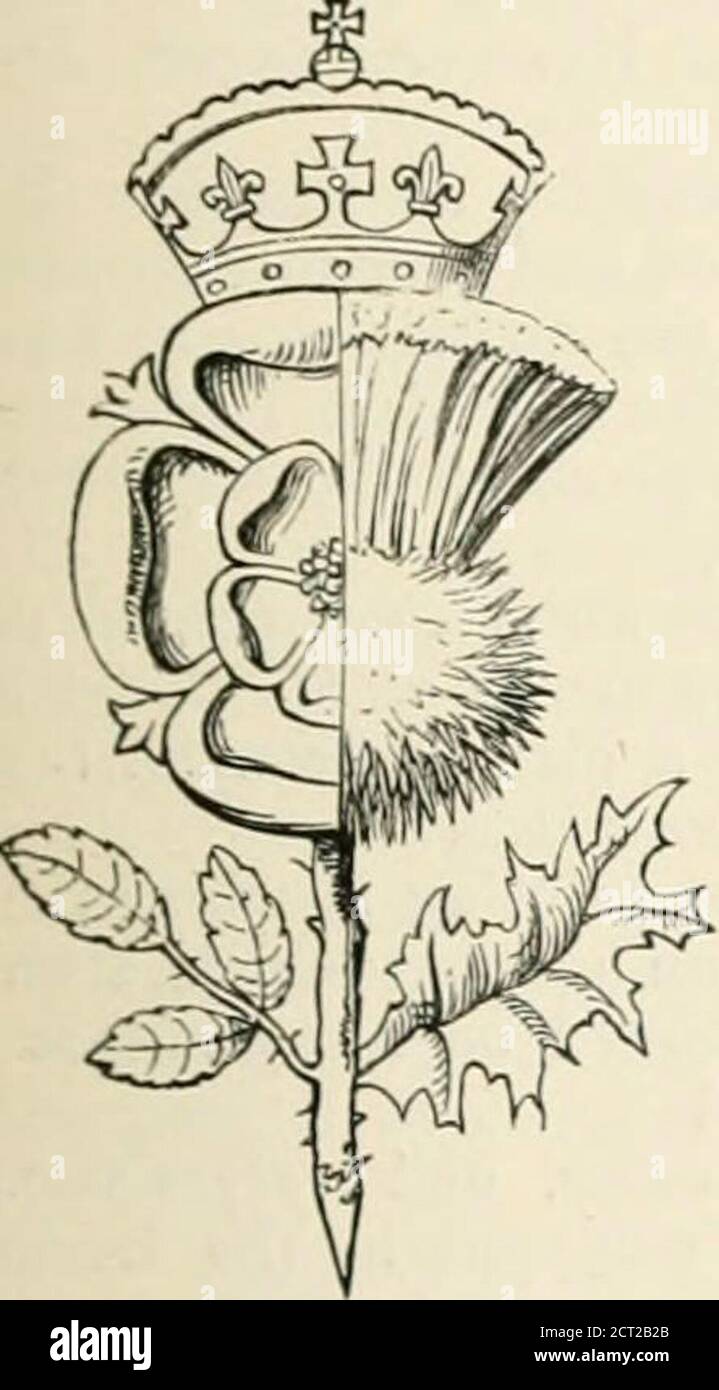 Androse hi-res stock photography and images - Alamy