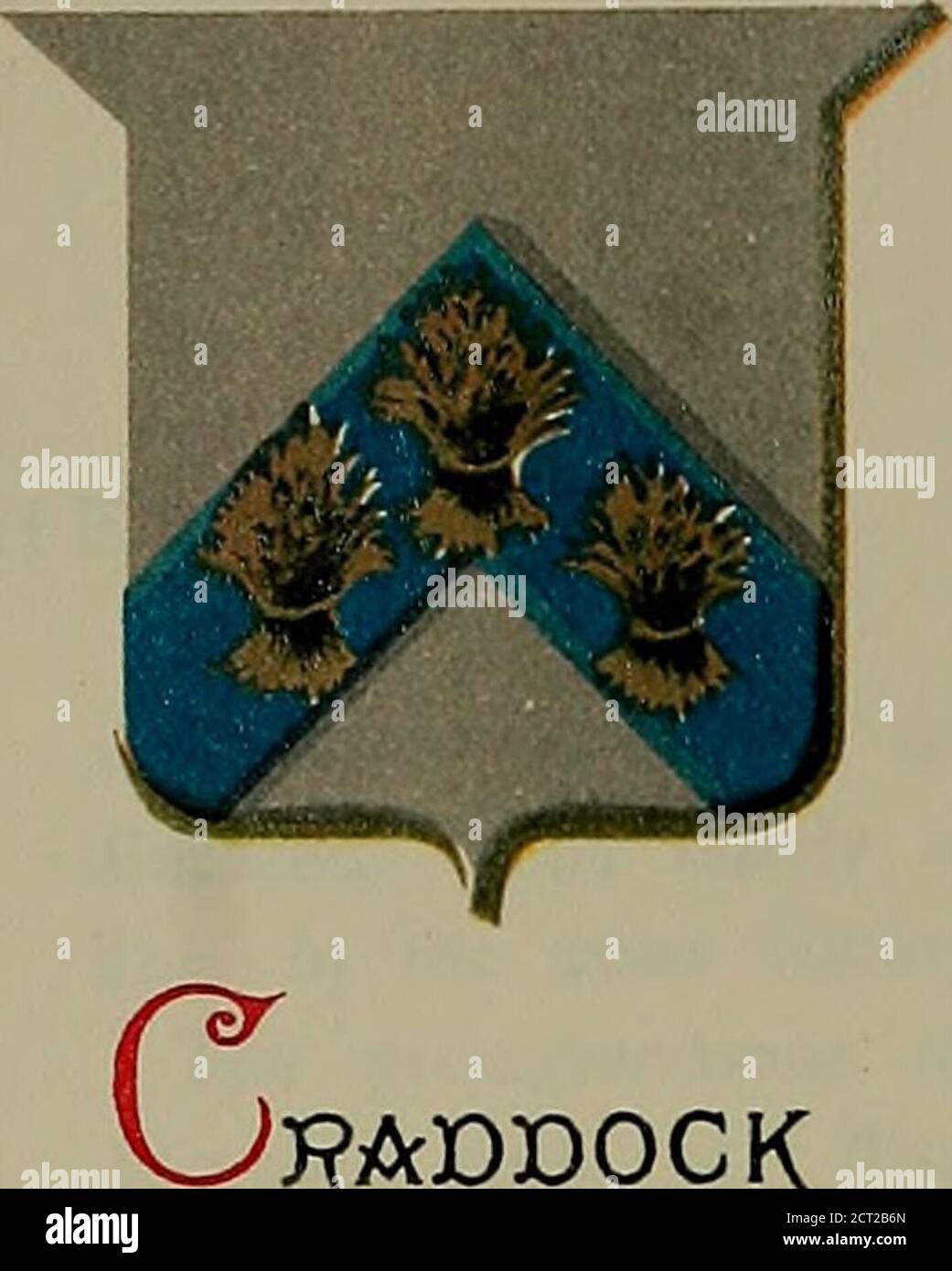 . America heraldica : a compilation of coats of arms, crests and ...