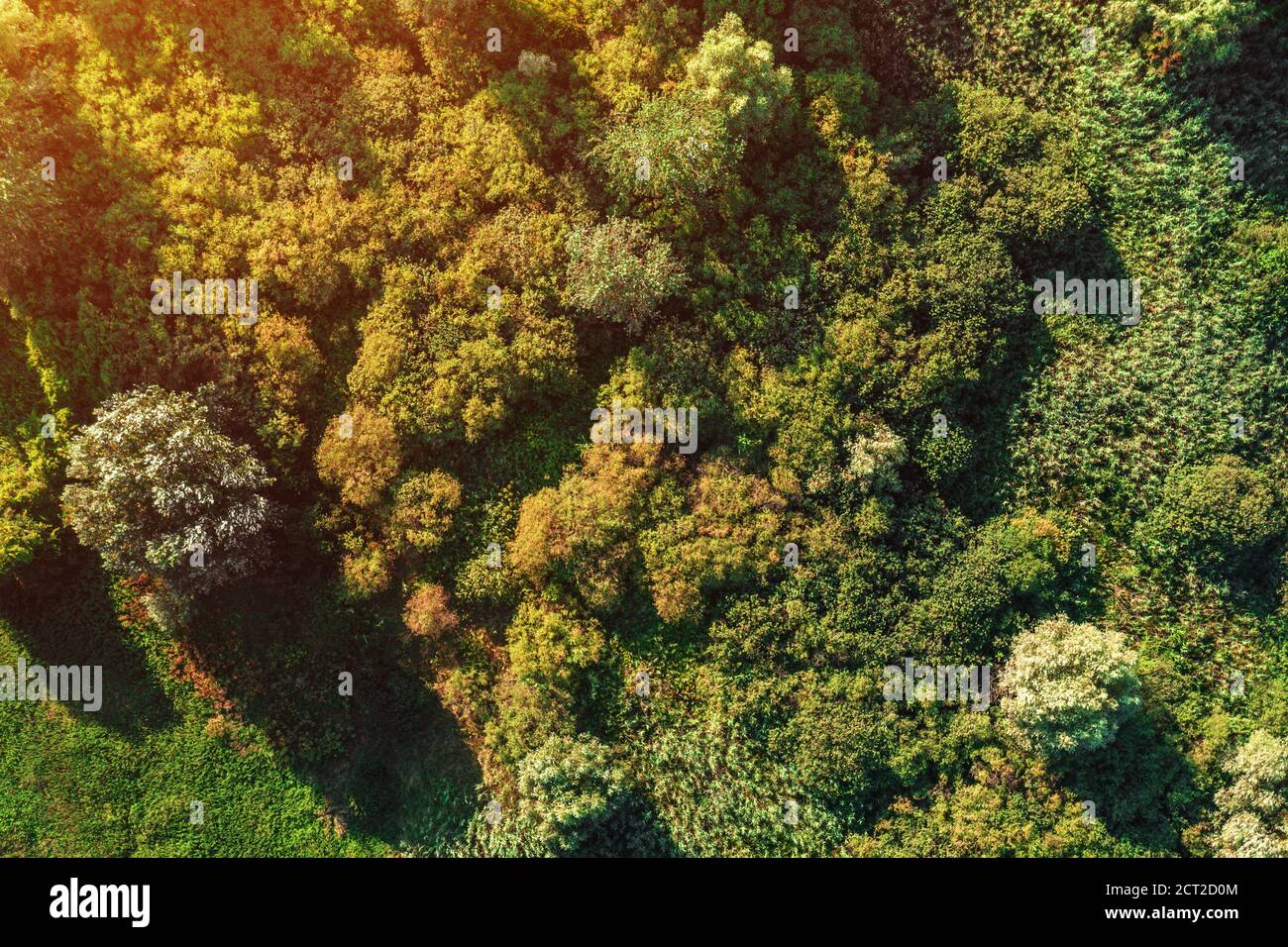 Aerial view of uncultivated countryside landscape with trees and bushes ...