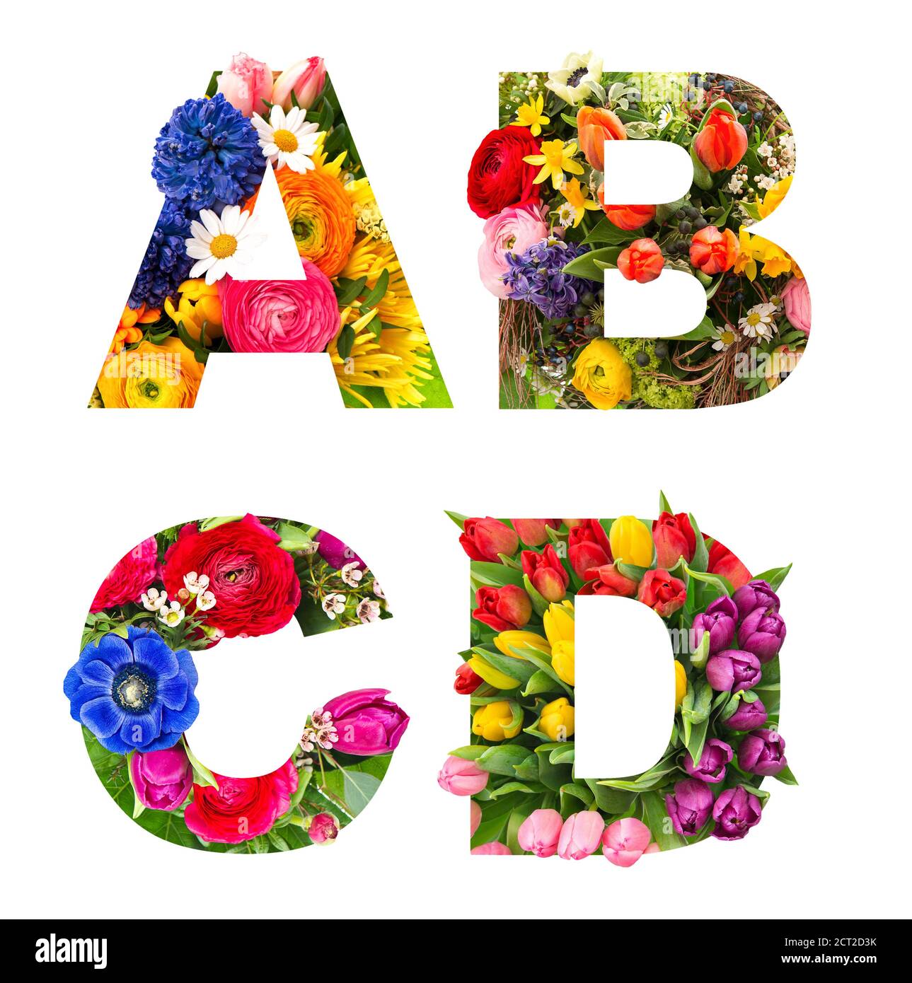 Alphabet A, B, C, D from flower. Floral lettering isolated on white ...