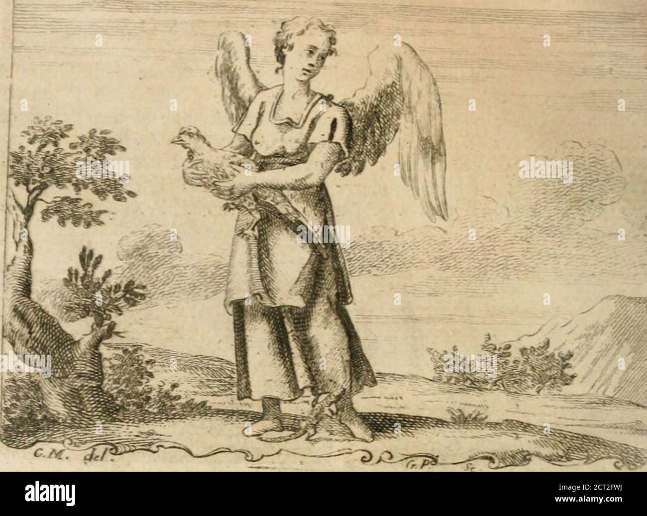 Gallinacci hi-res stock photography and images - Alamy