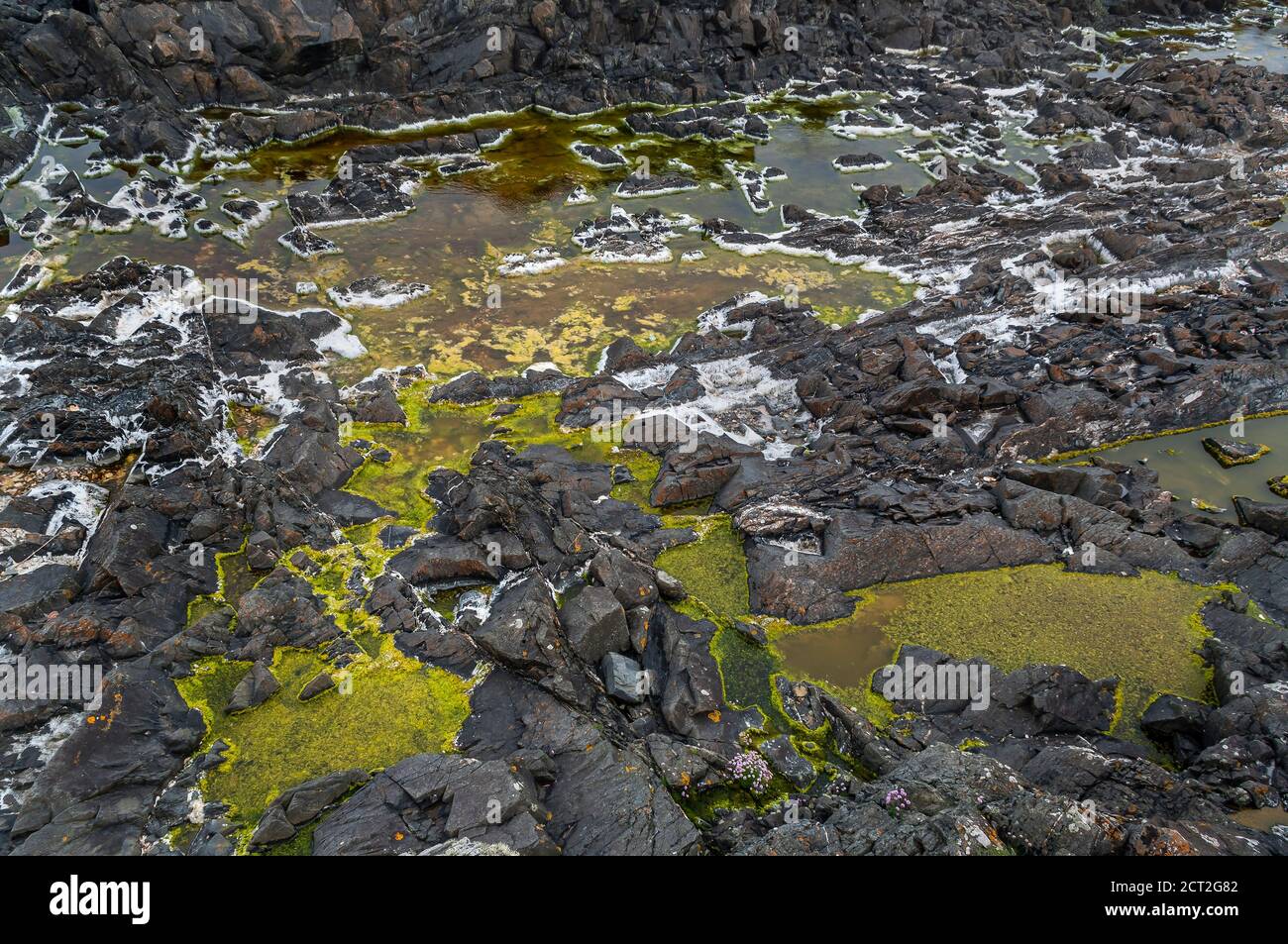Barnacle-covered rocks and small rockpools at Peel, Isle of Man Stock ...