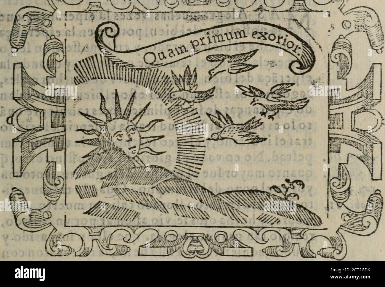 Incipiente en hi-res stock photography and images - Alamy