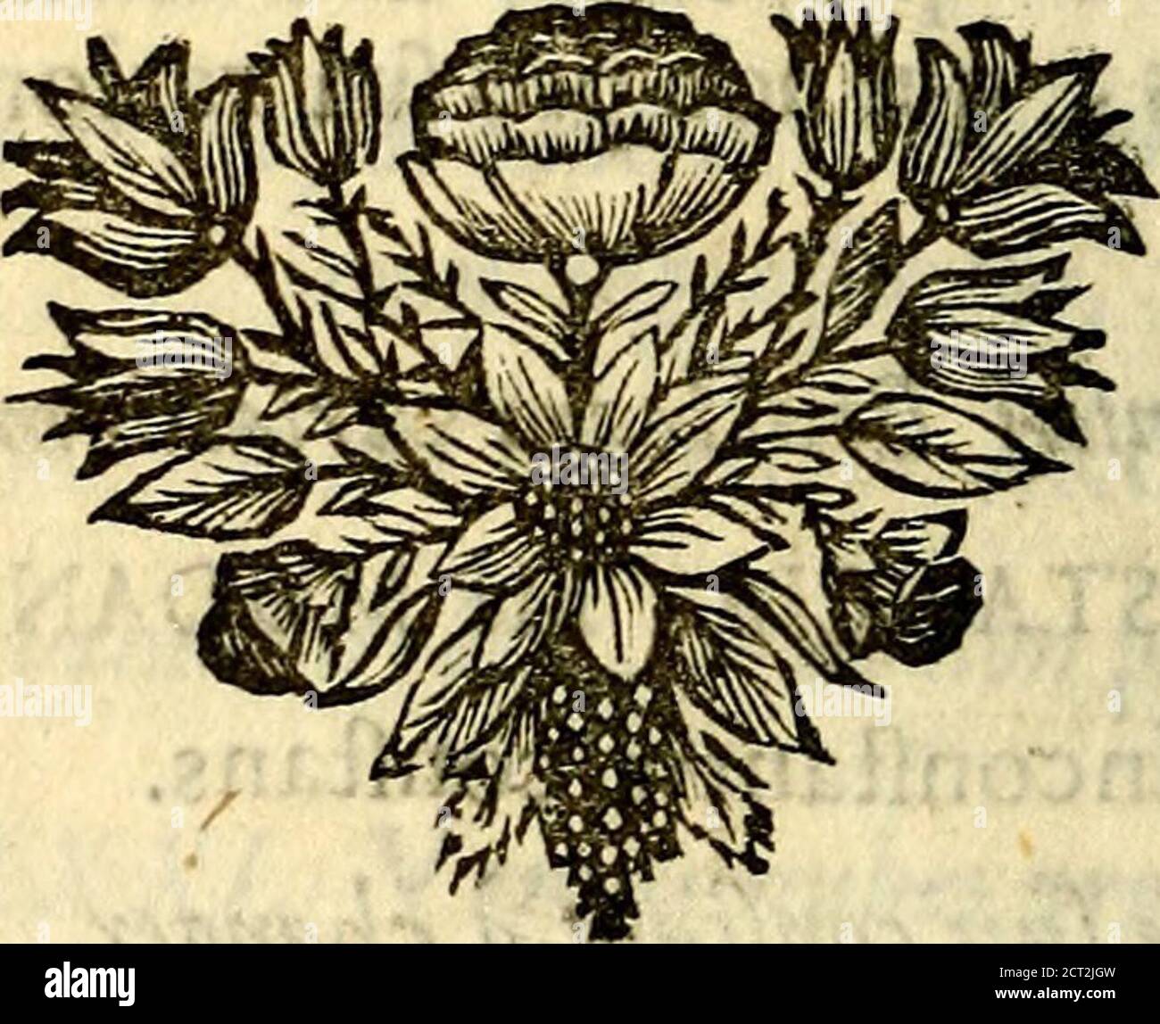 Mi constancia hi-res stock photography and images - Alamy