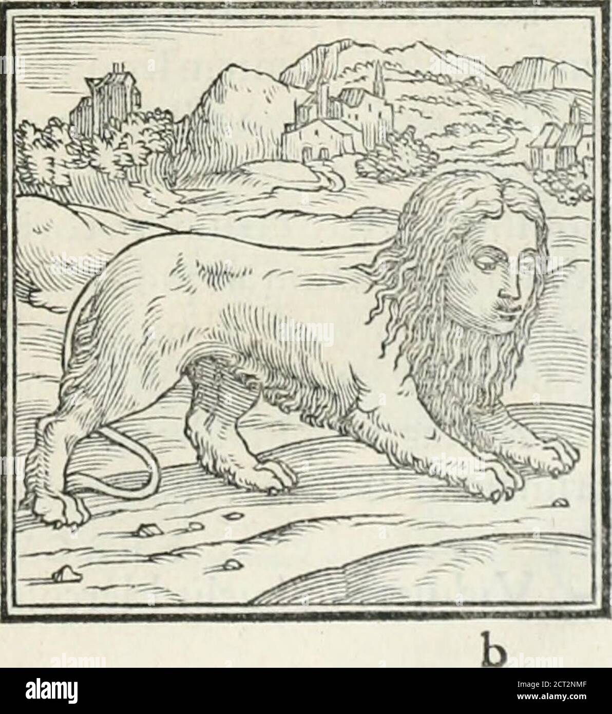 Pudendum hi-res stock photography and images - Alamy