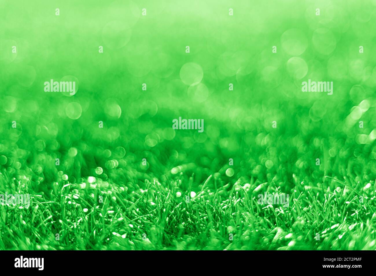 Grass background green texture hi-res stock photography and images - Alamy