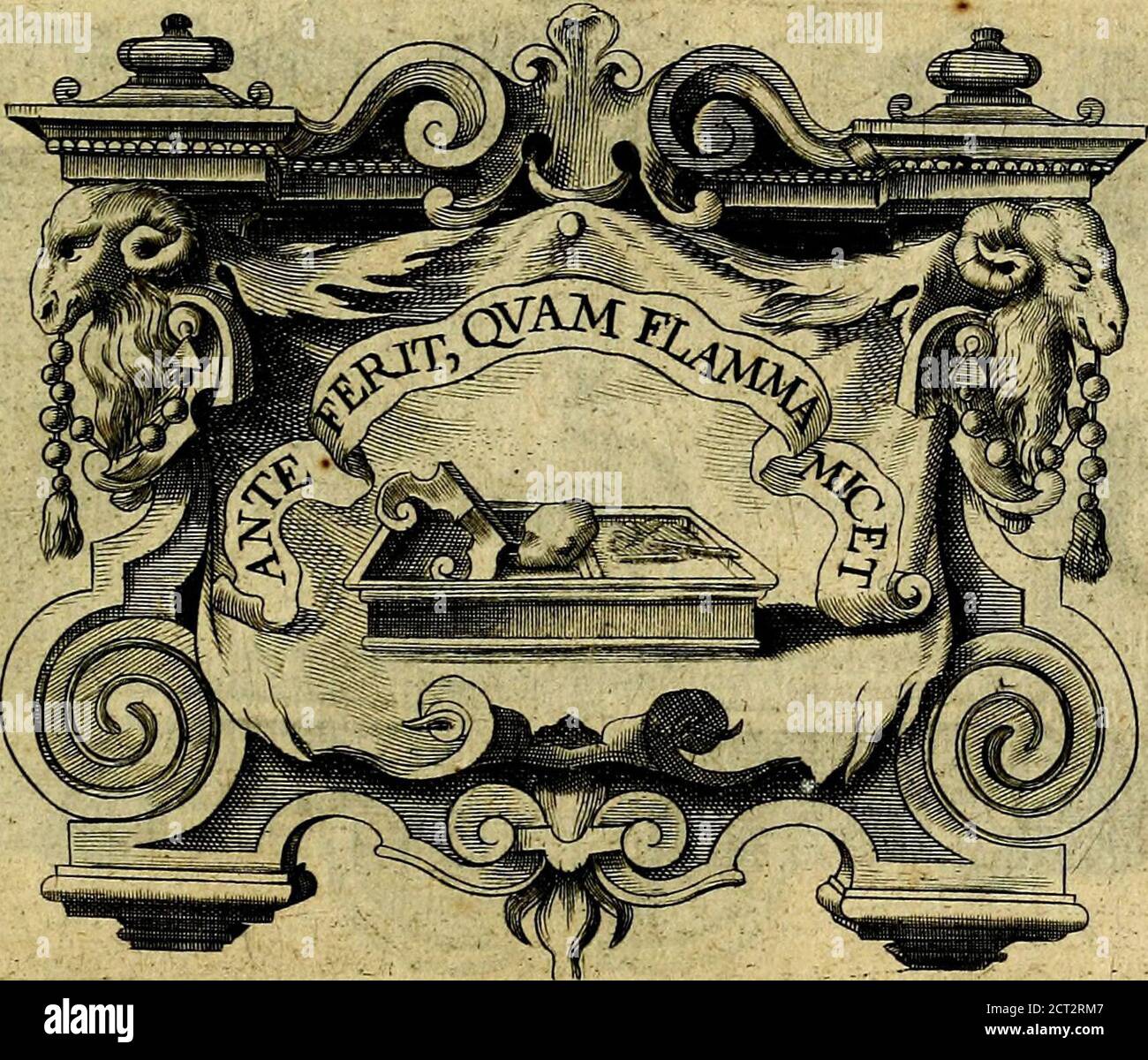 Lis de gloria hi-res stock photography and images - Alamy