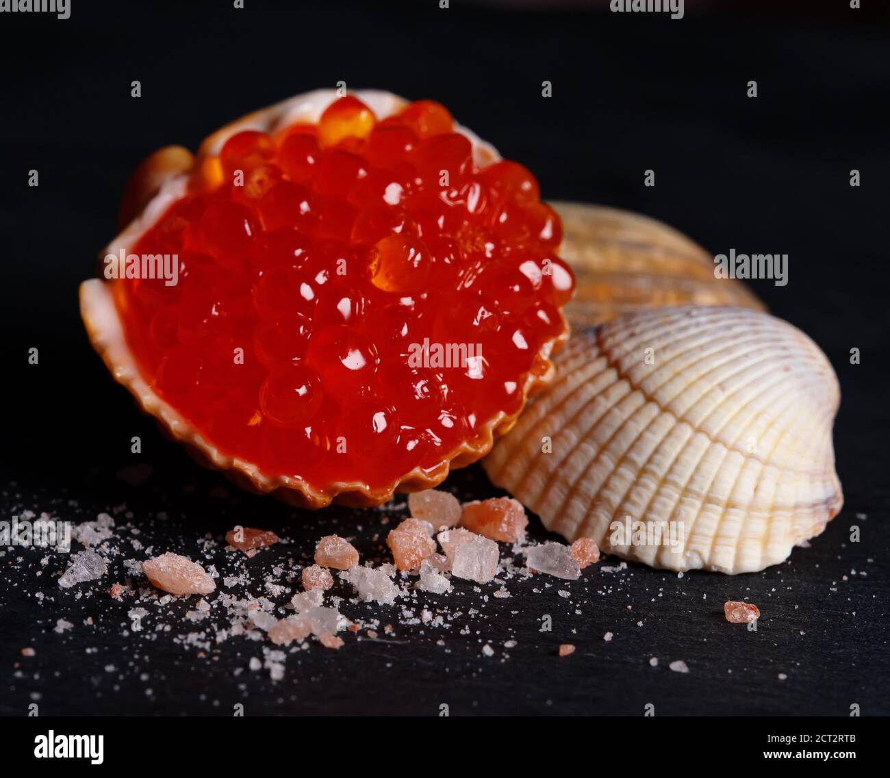 Seashell red hi-res stock photography and images - Alamy