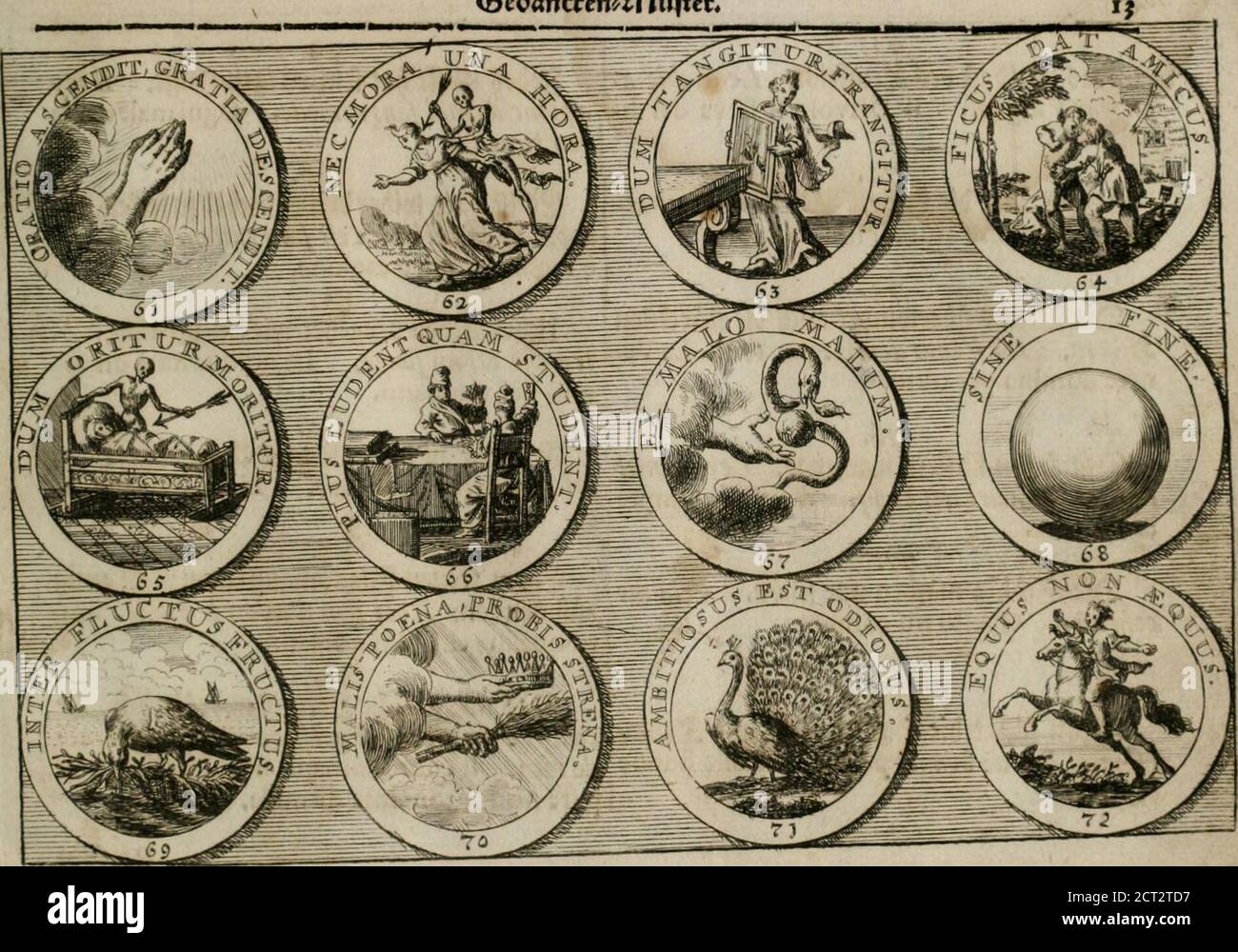 Che fou hi-res stock photography and images - Alamy