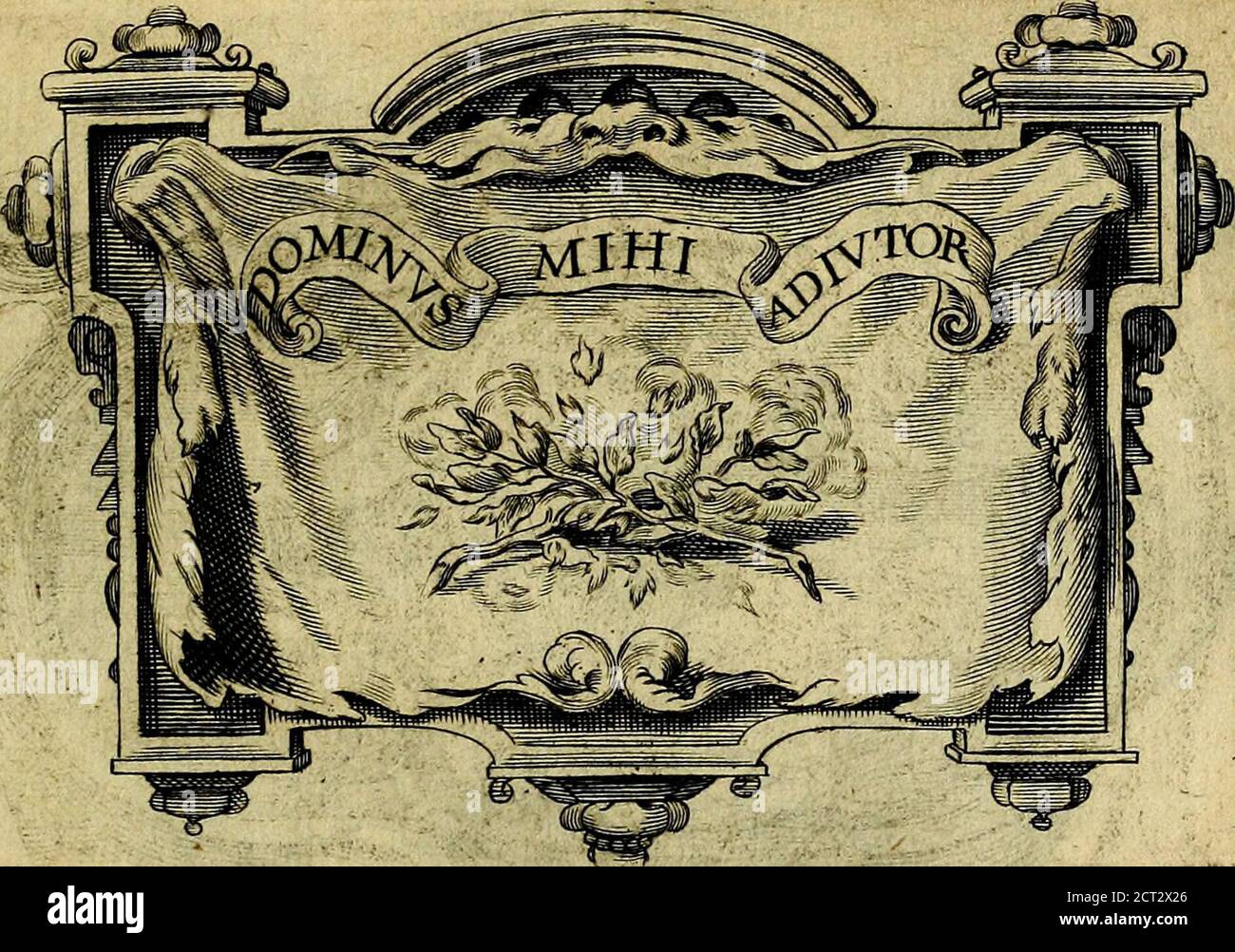 Familia rex hi-res stock photography and images - Alamy