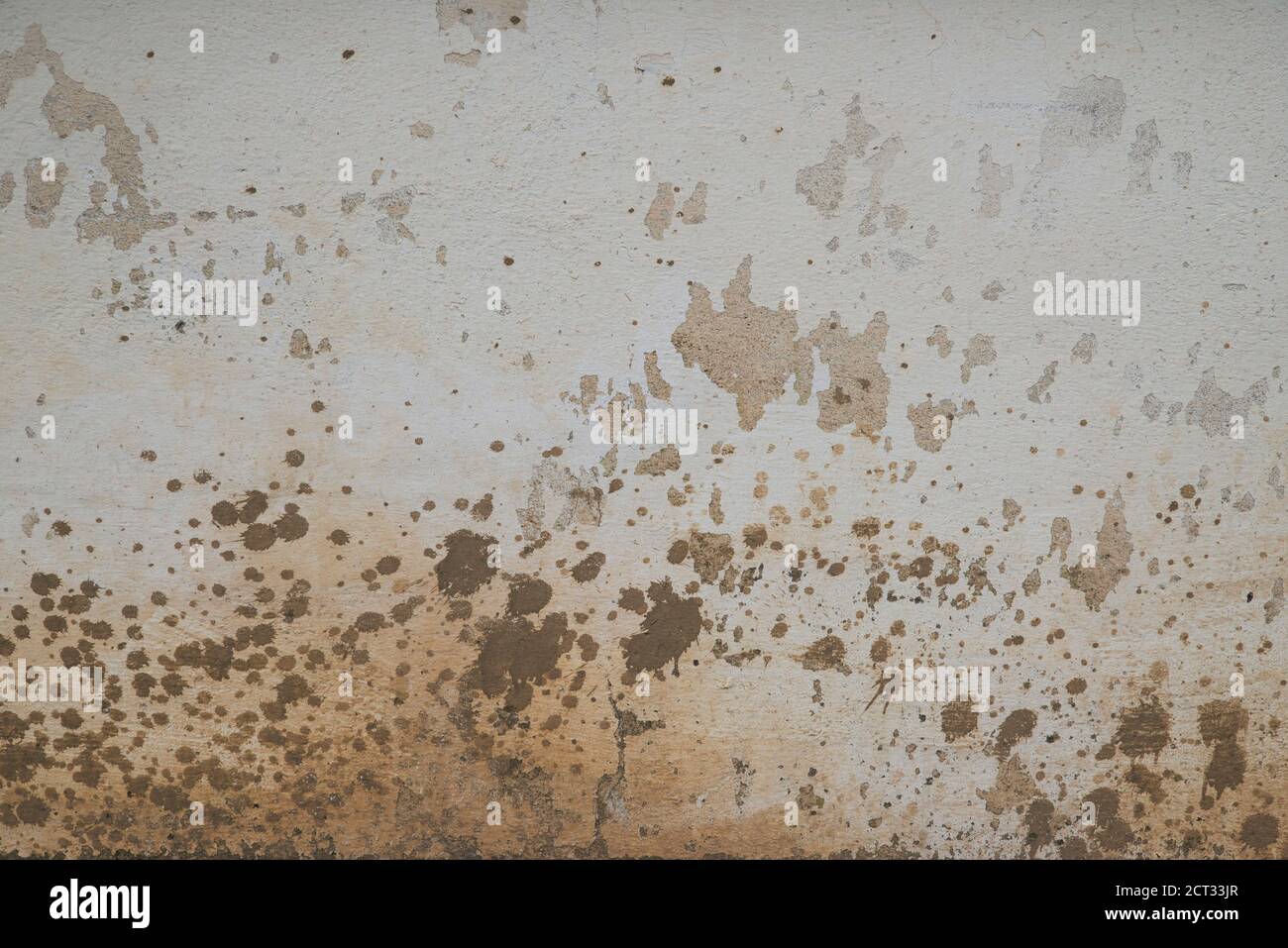 Old Grunge Plaster Texture Wall Background Stock Photo - Alamy