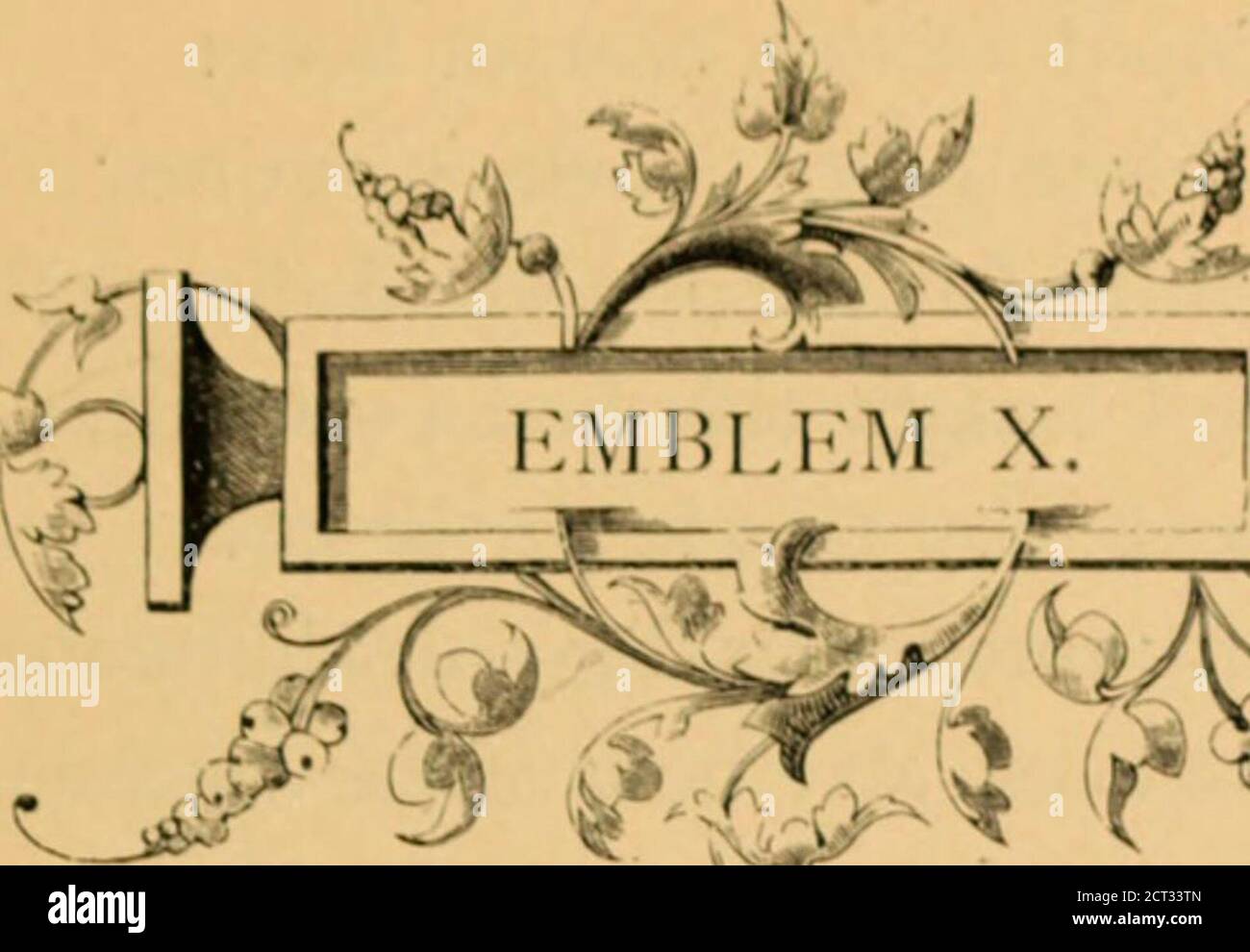 Quarles emblems hi-res stock photography and images - Alamy