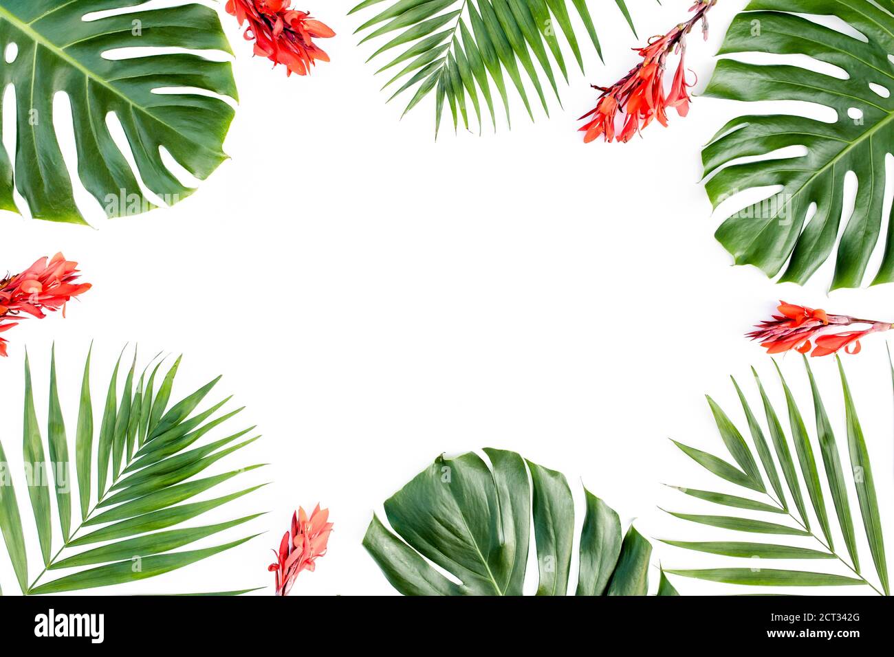 Frame with exotic tropical palm leaves monstera on white background ...