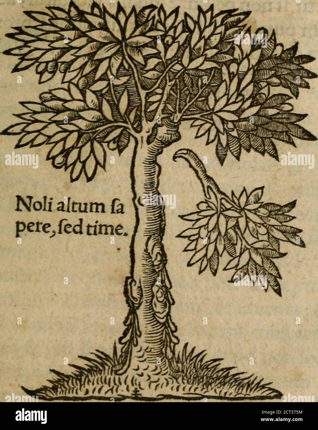 Ec cgo hi-res stock photography and images - Alamy